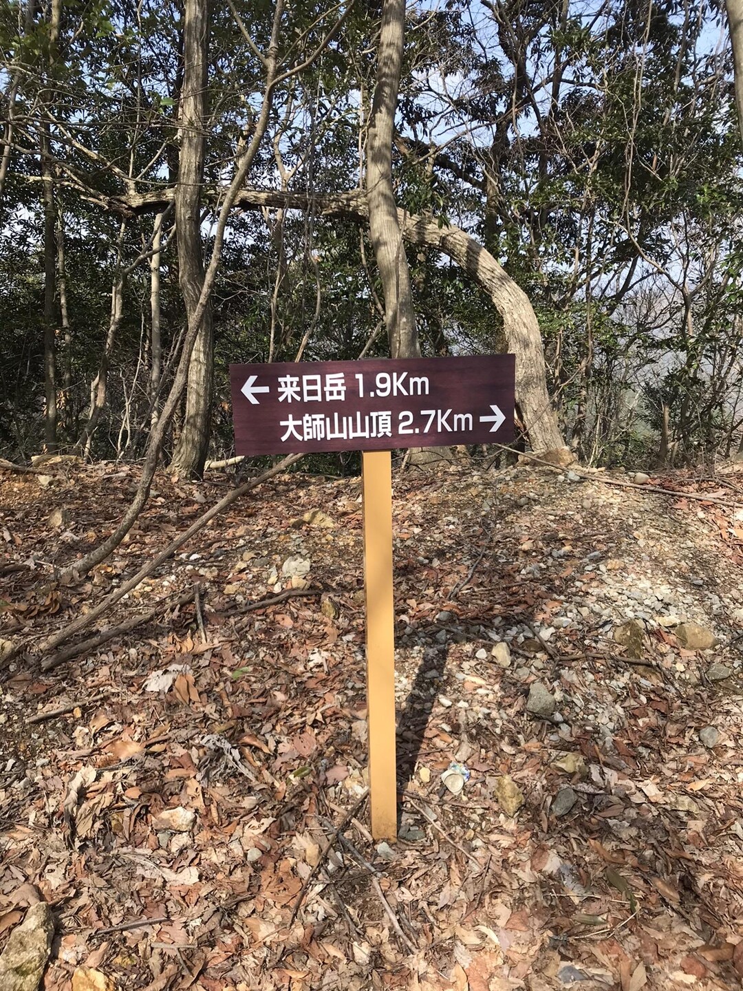 mmmさんの投稿したフィールドメモ | YAMAP / ヤマップ