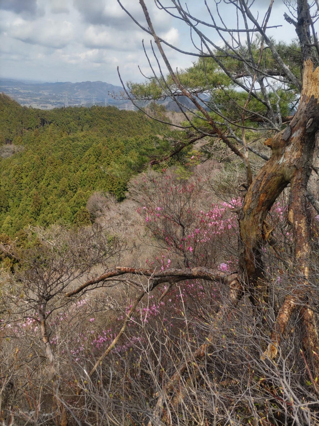 長倉山・540P・斑根石山 / 山好きよっちやんさんの古賀志山・赤岩山・鞍掛山・男抱山・半蔵山の活動データ | YAMAP / ヤマップ