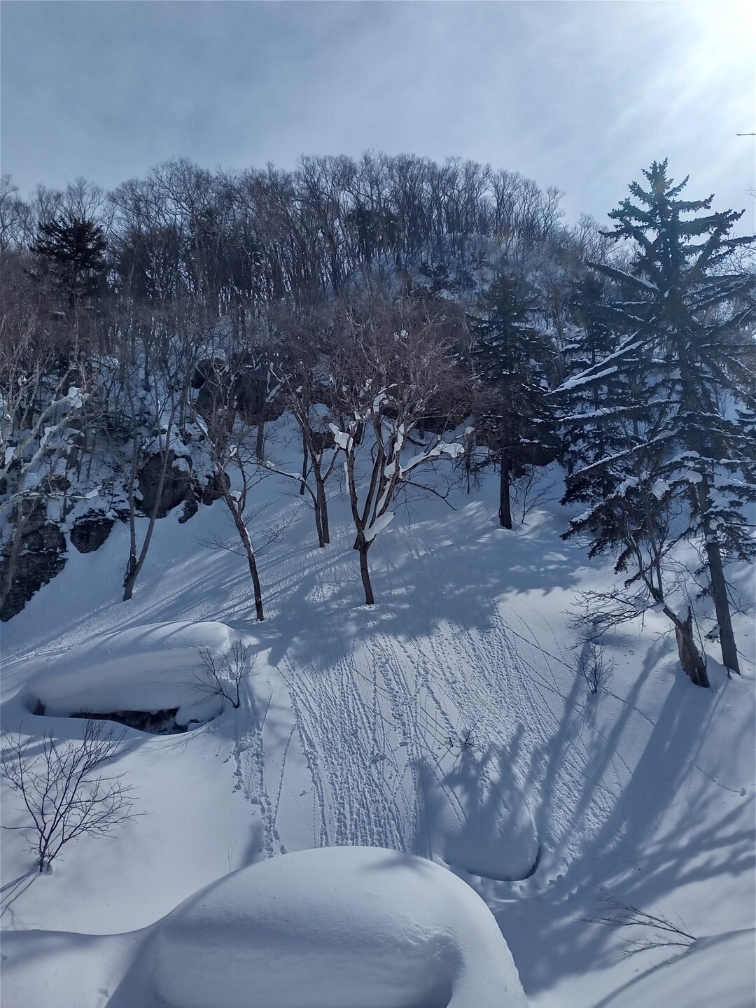 屏風岳 / kuri panさんの朝里天狗岳の活動データ | YAMAP / ヤマップ