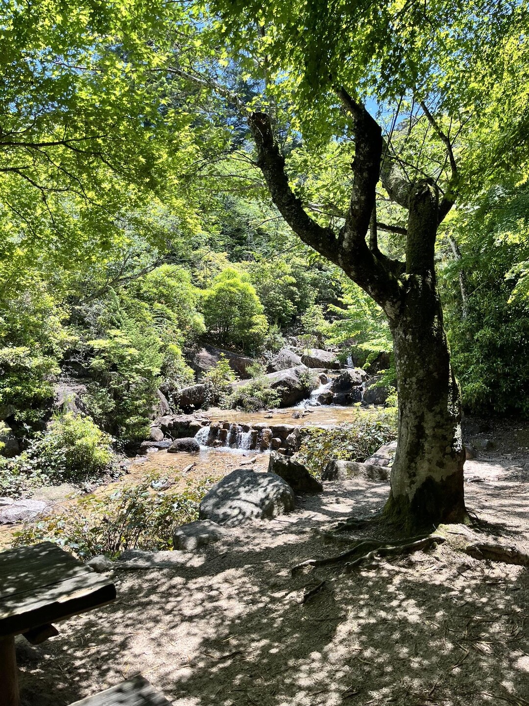 新歓登山 / inunuさんの宮島（厳島）・弥山の活動データ | YAMAP / ヤマップ
