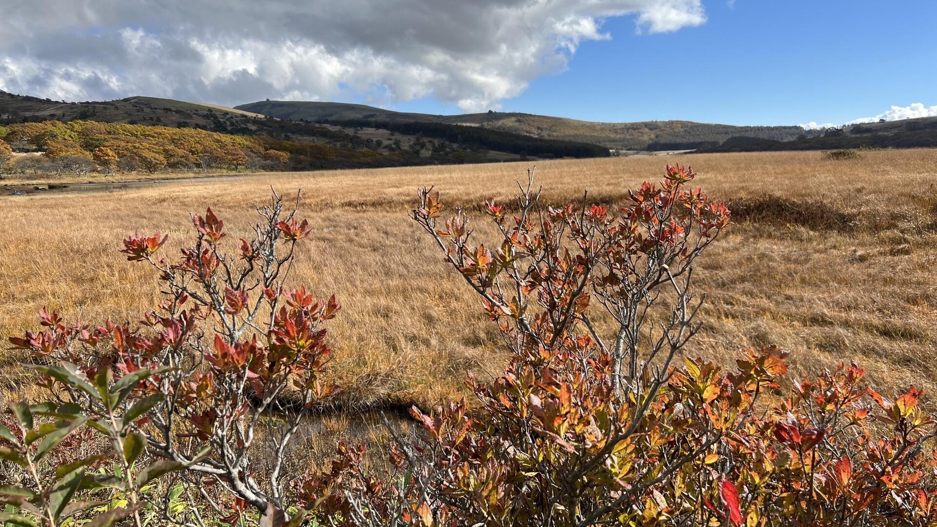 霧ヶ峰（車山）・蝶々深山 / Tamiyoさんの霧ヶ峰・車山・大笹峰の活動データ | YAMAP / ヤマップ