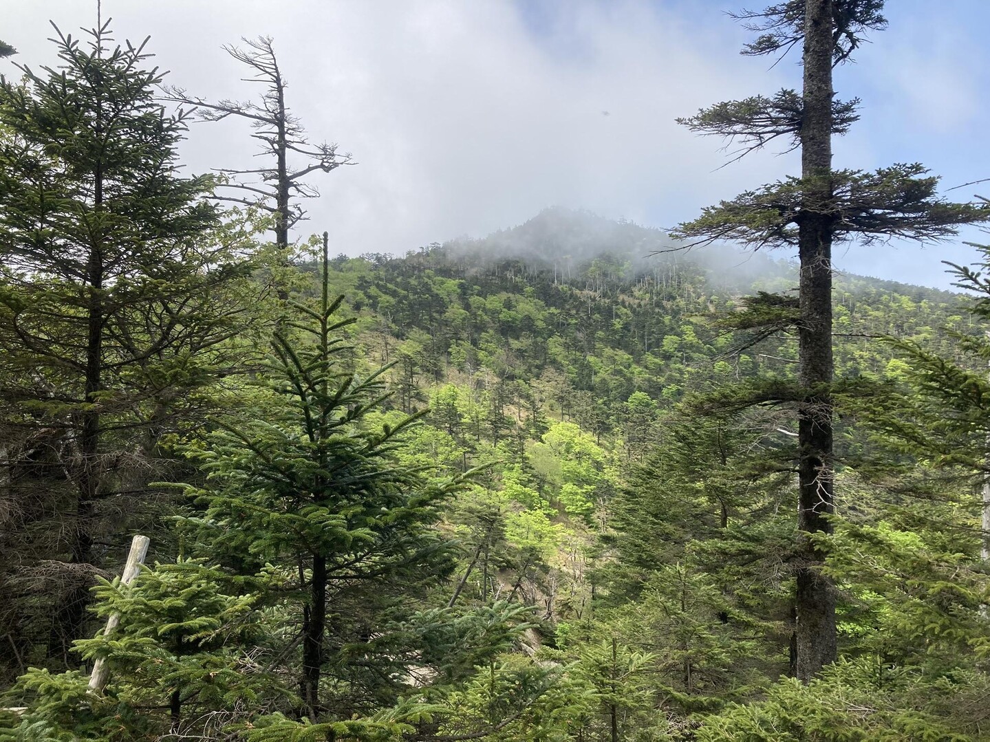 弥山・八経ヶ岳 / jinger8さんの八経ヶ岳の活動データ | YAMAP / ヤマップ