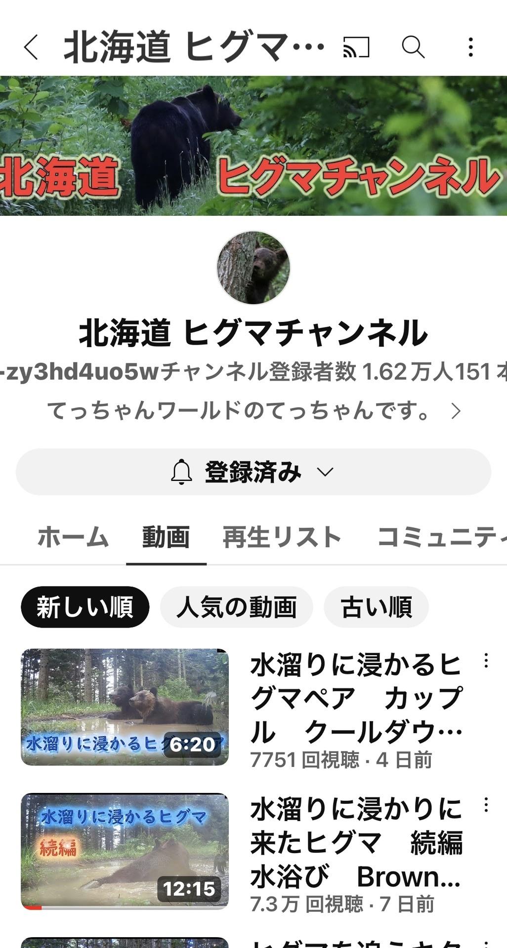 これを見ていると「熊は山で生きている」... / ゆみpさんのモーメント | YAMAP / ヤマップ