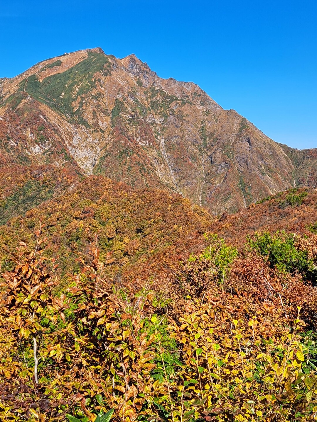 谷川岳紅葉きれい.ヘルメットかぶろう / jさんの谷川岳・七ツ小屋山・大源太山の活動日記 | YAMAP / ヤマップ