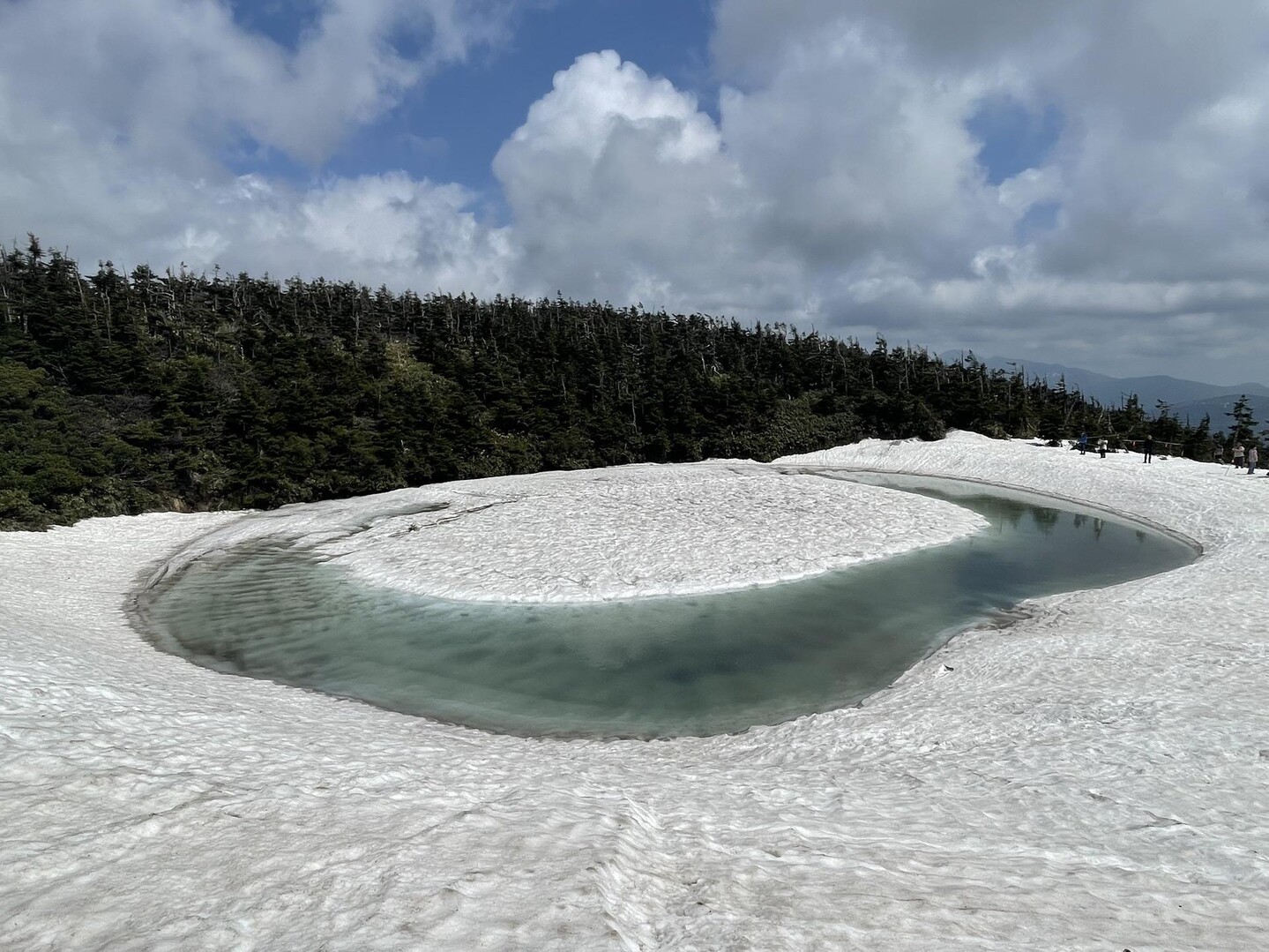 八幡平 / MZYさんの岩手山・八幡平・安比高原 50km トレイルの活動データ | YAMAP / ヤマップ
