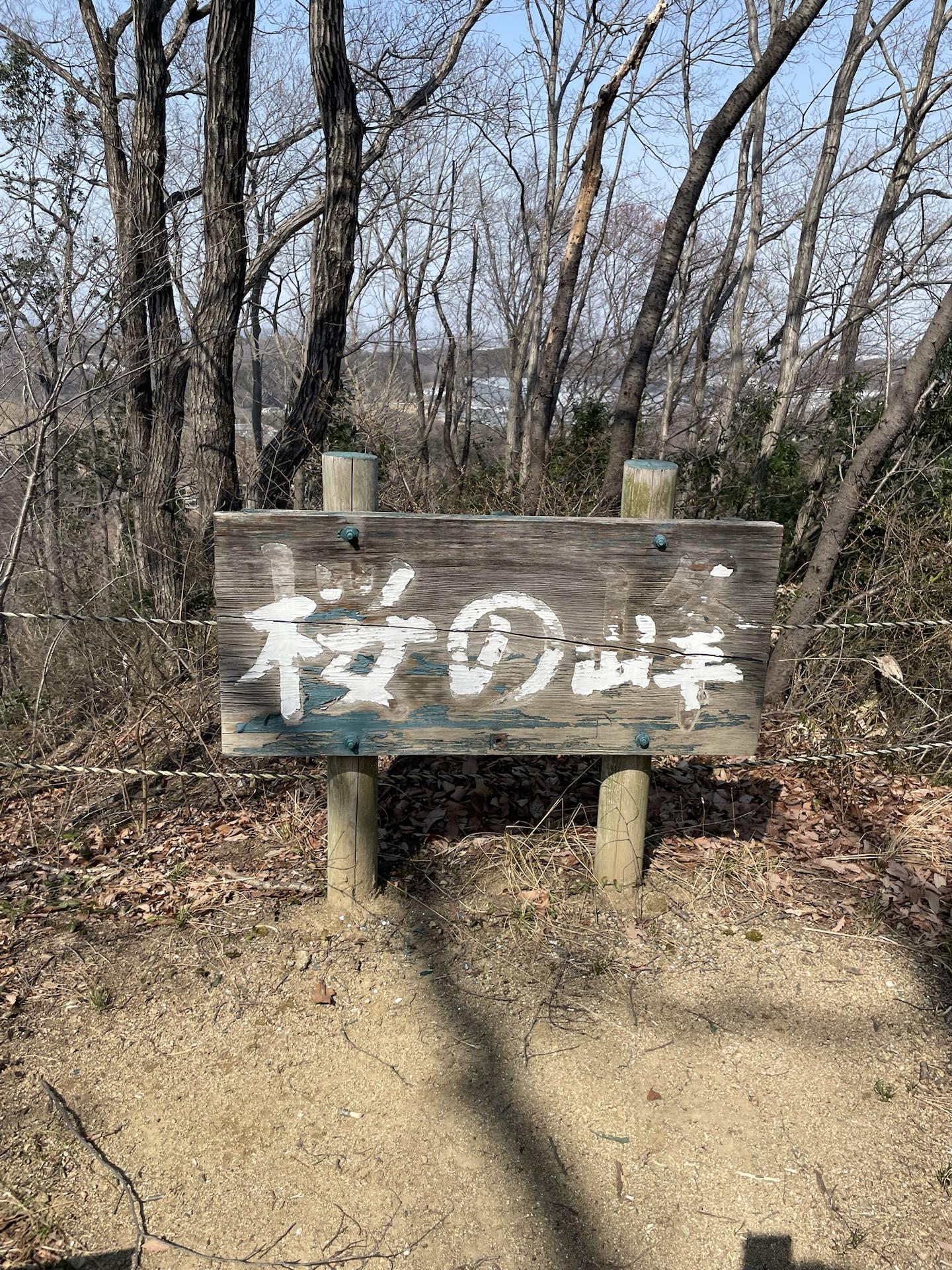 桜の峰 / panchanさんの官ノ倉山の活動データ | YAMAP / ヤマップ