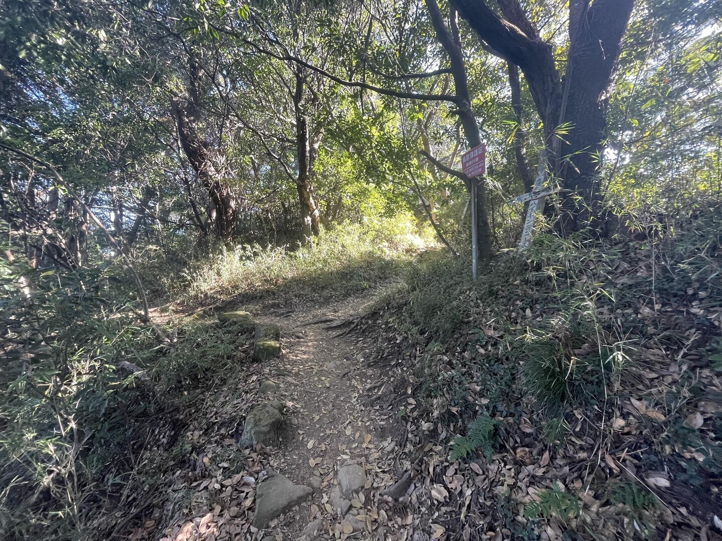 s06007さんの投稿したフィールドメモ | YAMAP / ヤマップ