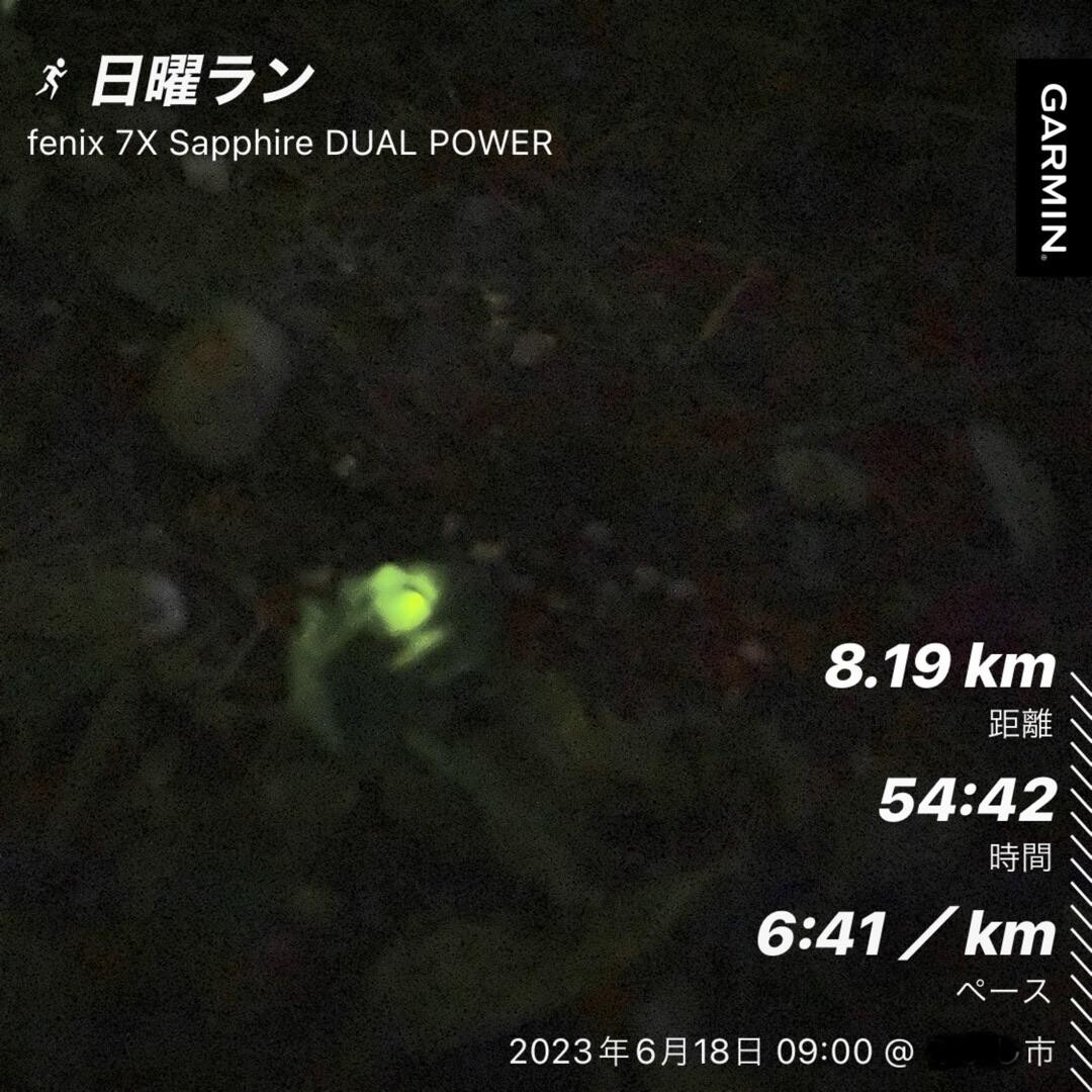 日曜ラン インターバル交えて8km 写... / Hide_Mt.hikerさんのモーメント | YAMAP / ヤマップ