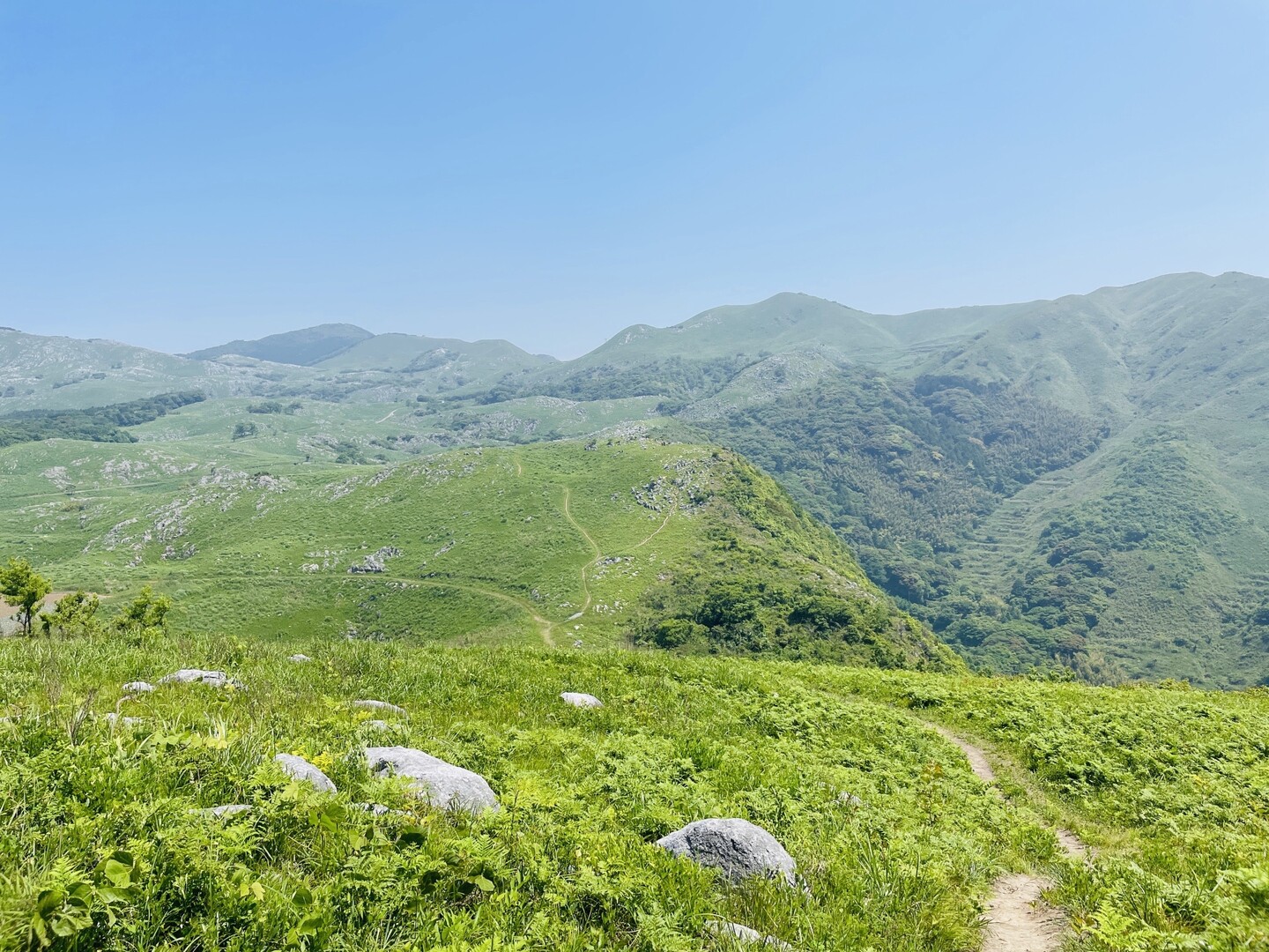 5月の平尾台へ / レジバンさんの平尾台・貫山・水晶山の活動データ | YAMAP / ヤマップ
