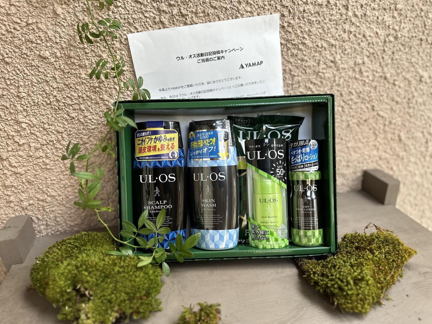 2024.11.18. 遡ること約3週間... / mariさんのモーメント | YAMAP / ヤマップ