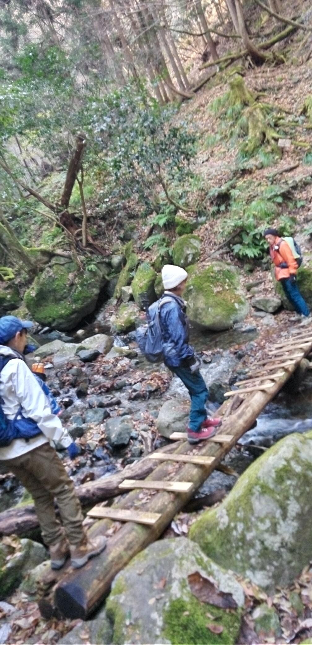 よねっちさんの投稿したフィールドメモ | YAMAP / ヤマップ