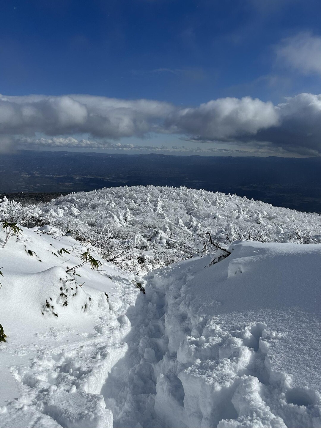 薬師岳・安達太良山までは辿り着けず ︎ / mameさんの安達太良山・箕輪山・鬼面山の活動データ | YAMAP / ヤマップ