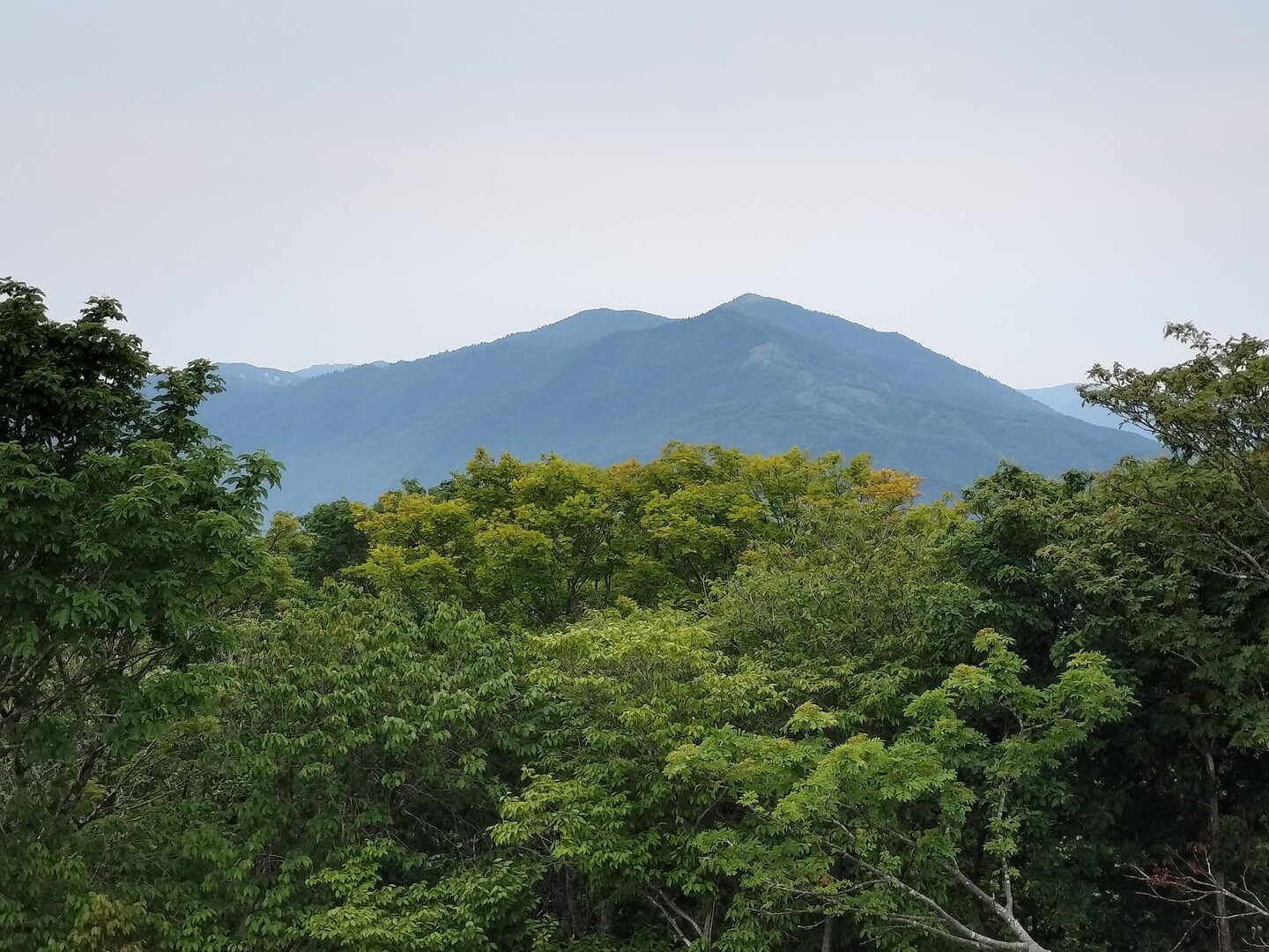 奥比良（横谷峠〜蛇谷ヶ峰） / hi-santさんの蛇谷ヶ峰の活動データ | YAMAP / ヤマップ