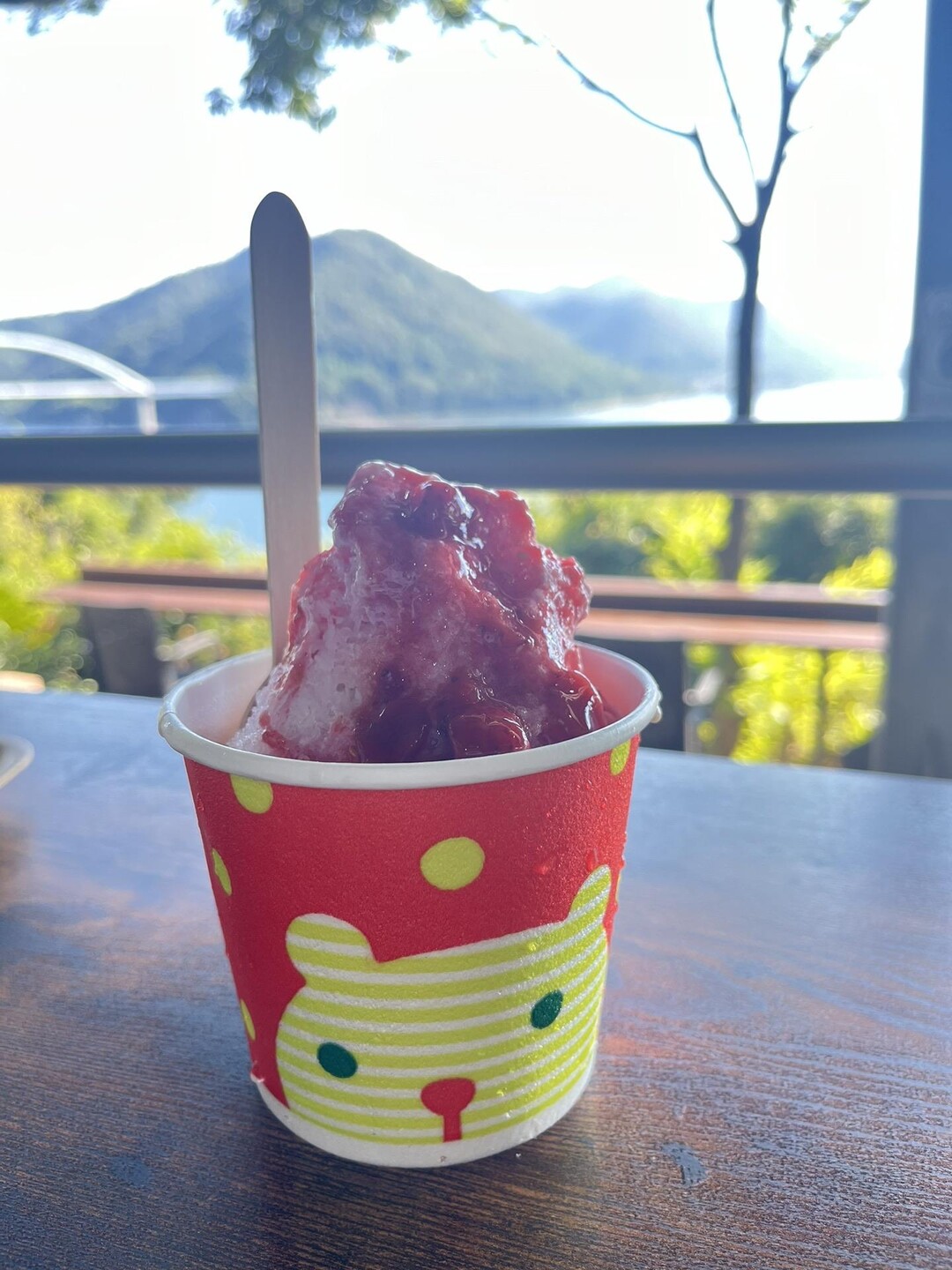 本日、2度目のデザートは息子を連れてかき... / 47craftさんのモーメント | YAMAP / ヤマップ