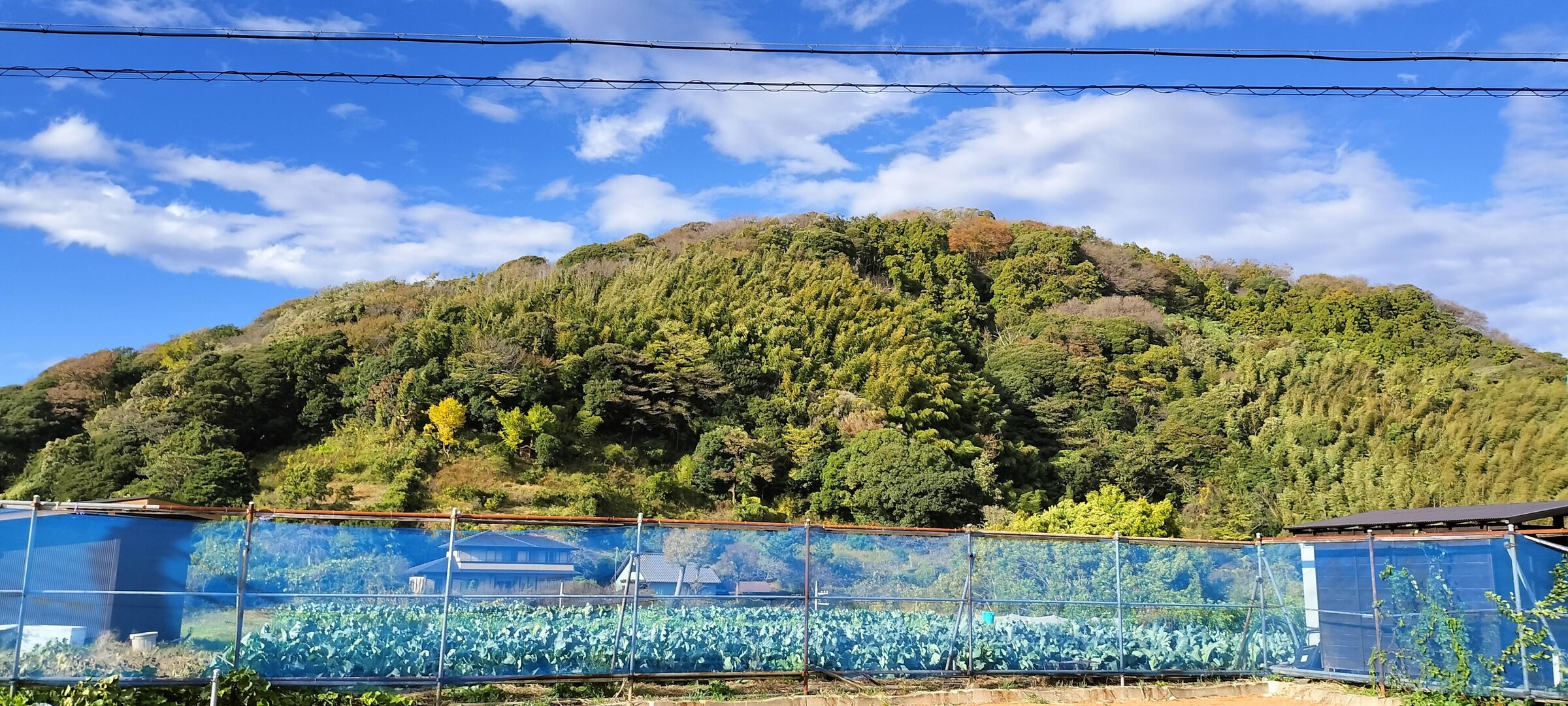 背後から忍び寄る影 / yusuke さんの三浦アルプス・二子山・仙元山の活動データ | YAMAP / ヤマップ