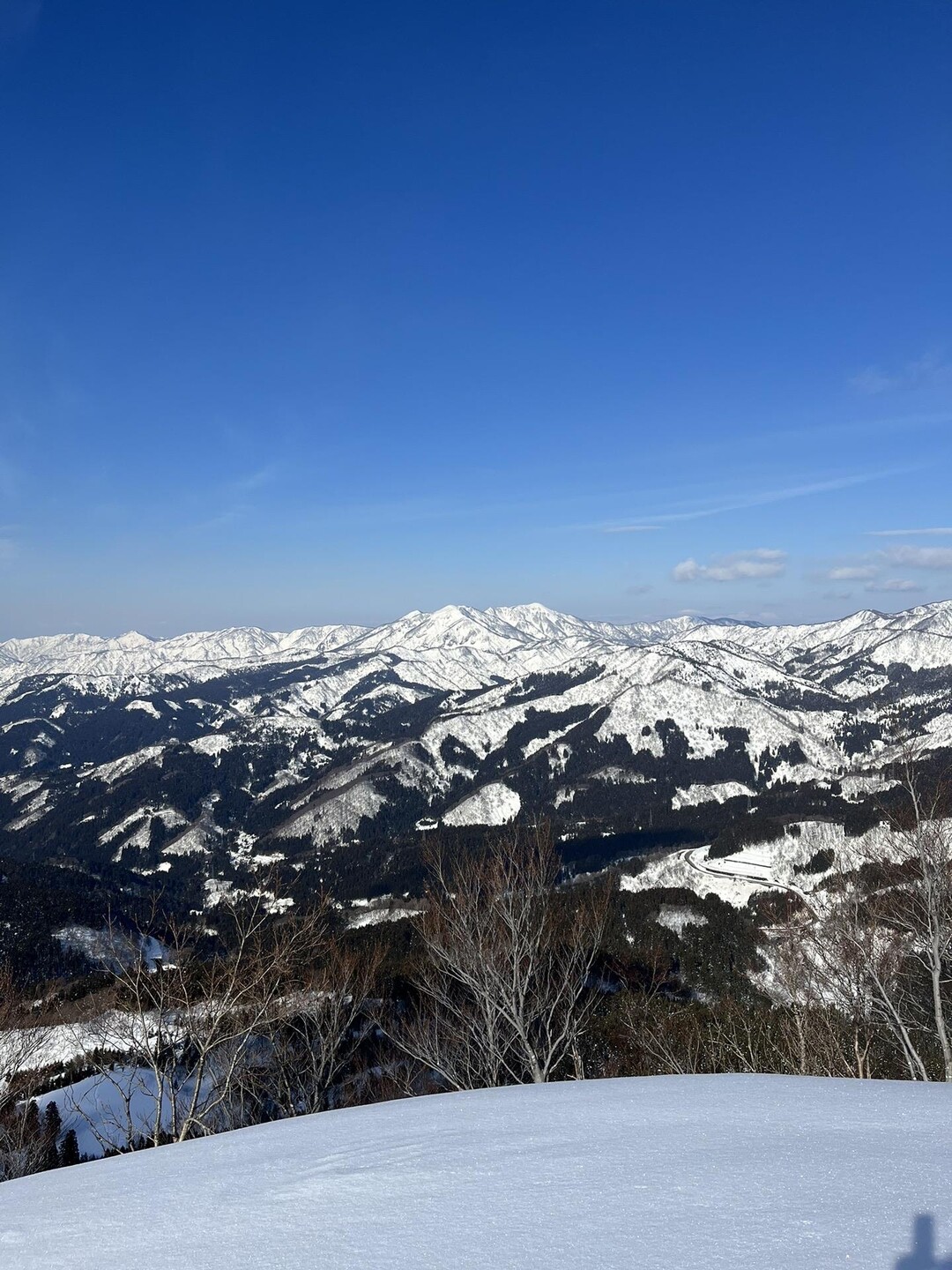 取立山・こつぶり山・護摩堂山 / coyaさんの取立山の活動データ | YAMAP / ヤマップ
