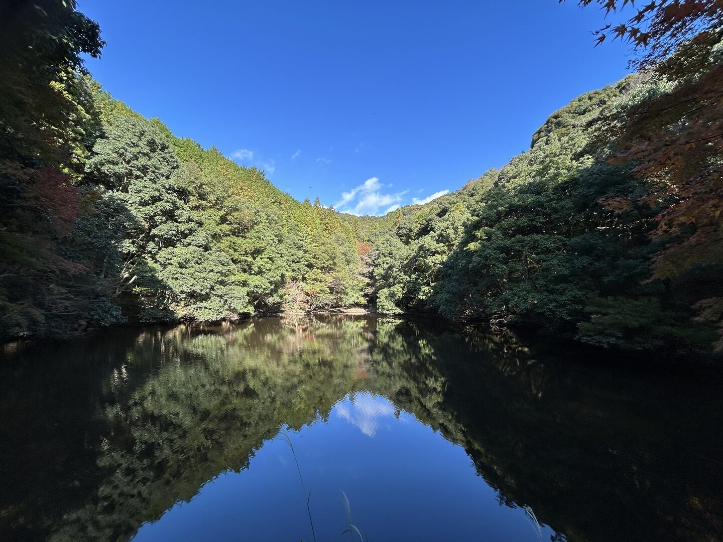 そろそろ見頃の白馬渓((´∀`*)) 水ヶ城山 / datinさんの水ヶ城山の活動データ | YAMAP / ヤマップ