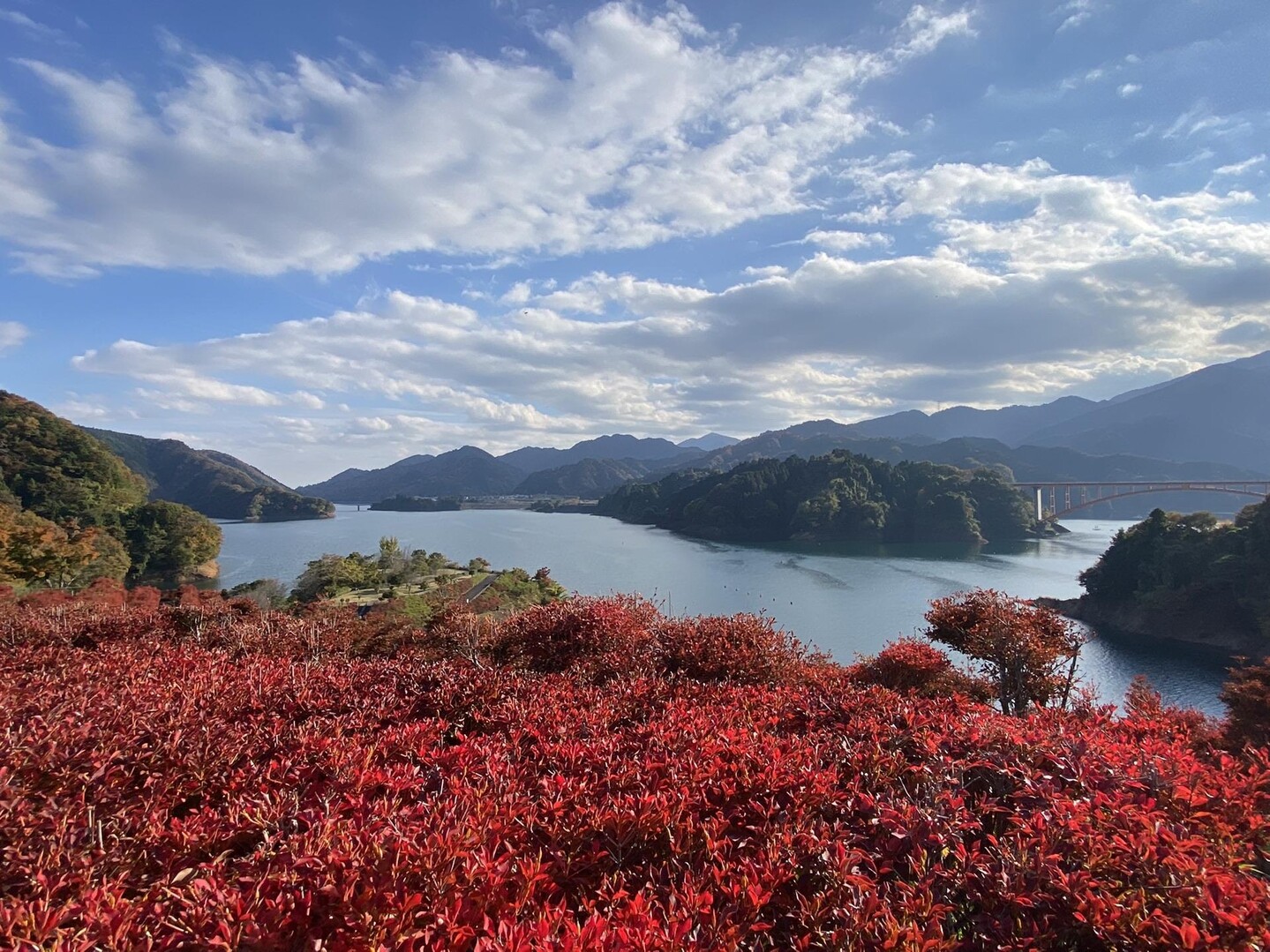 午前中の用事を済ませ… 宮ヶ瀬湖へ。 1... / MAYUMIさんのモーメント | YAMAP / ヤマップ