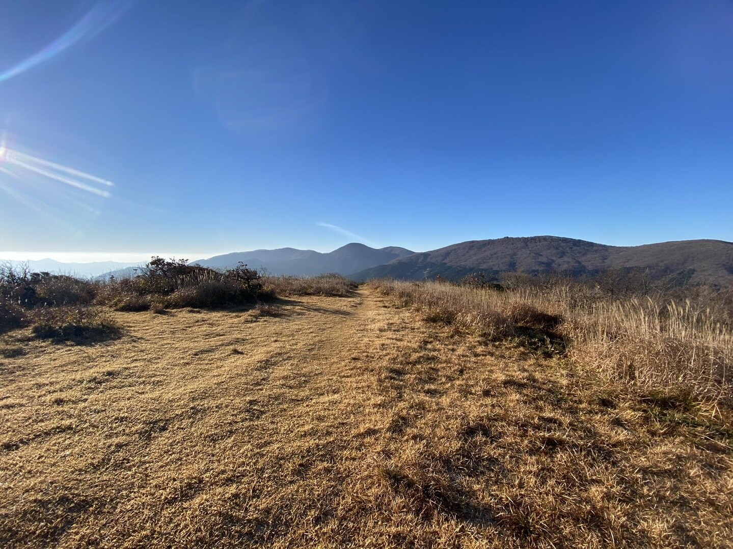 牛曳山・伊良谷山・毛無山・烏帽子山・比婆山・池ノ段・立烏帽子山・竜王山 / しょうさんの比婆山・立烏帽子山・吾妻山の活動データ | YAMAP / ヤマップ