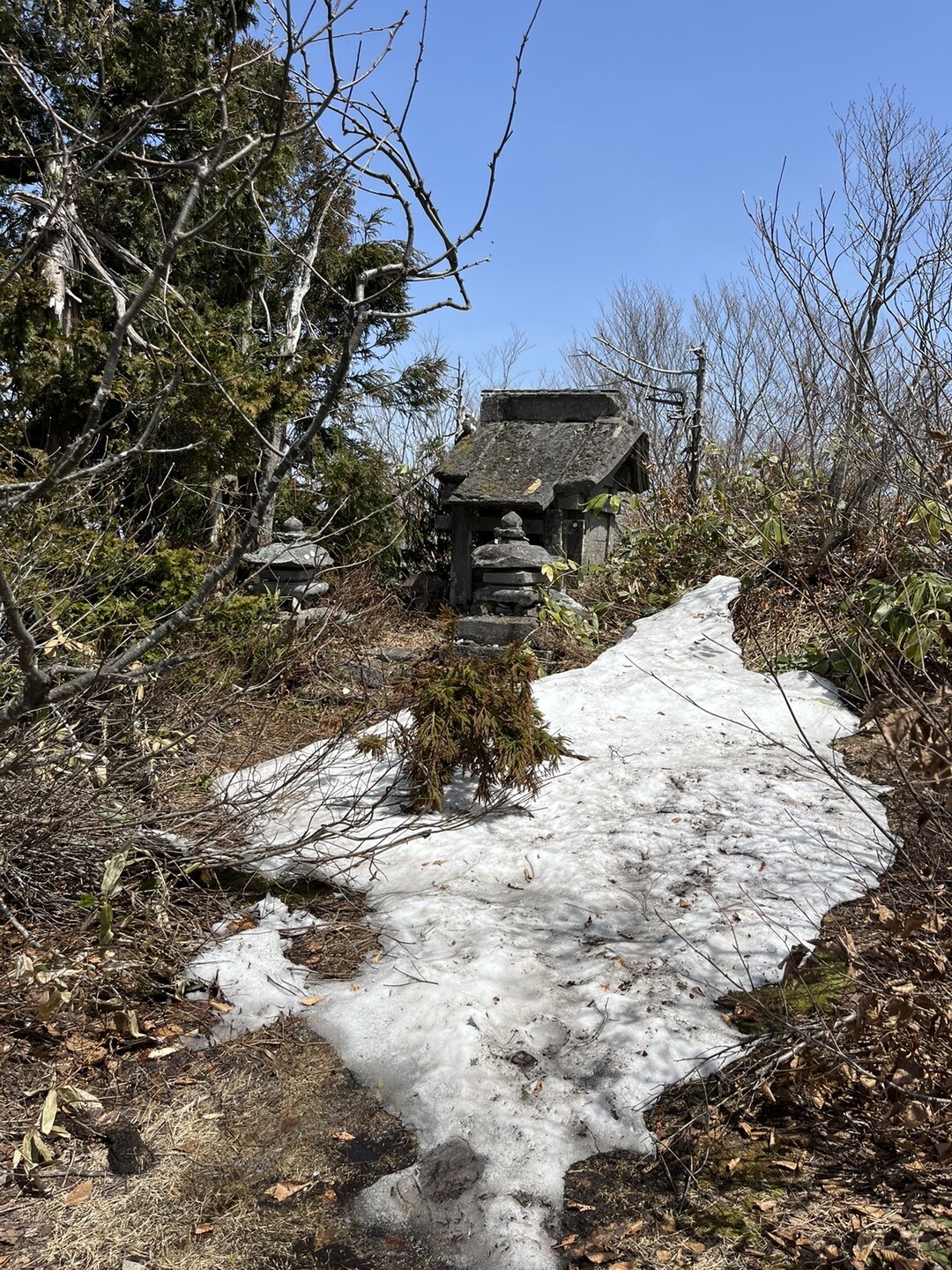 2022.05.10(火) 09:22 / wolfさんのモーメント | YAMAP / ヤマップ