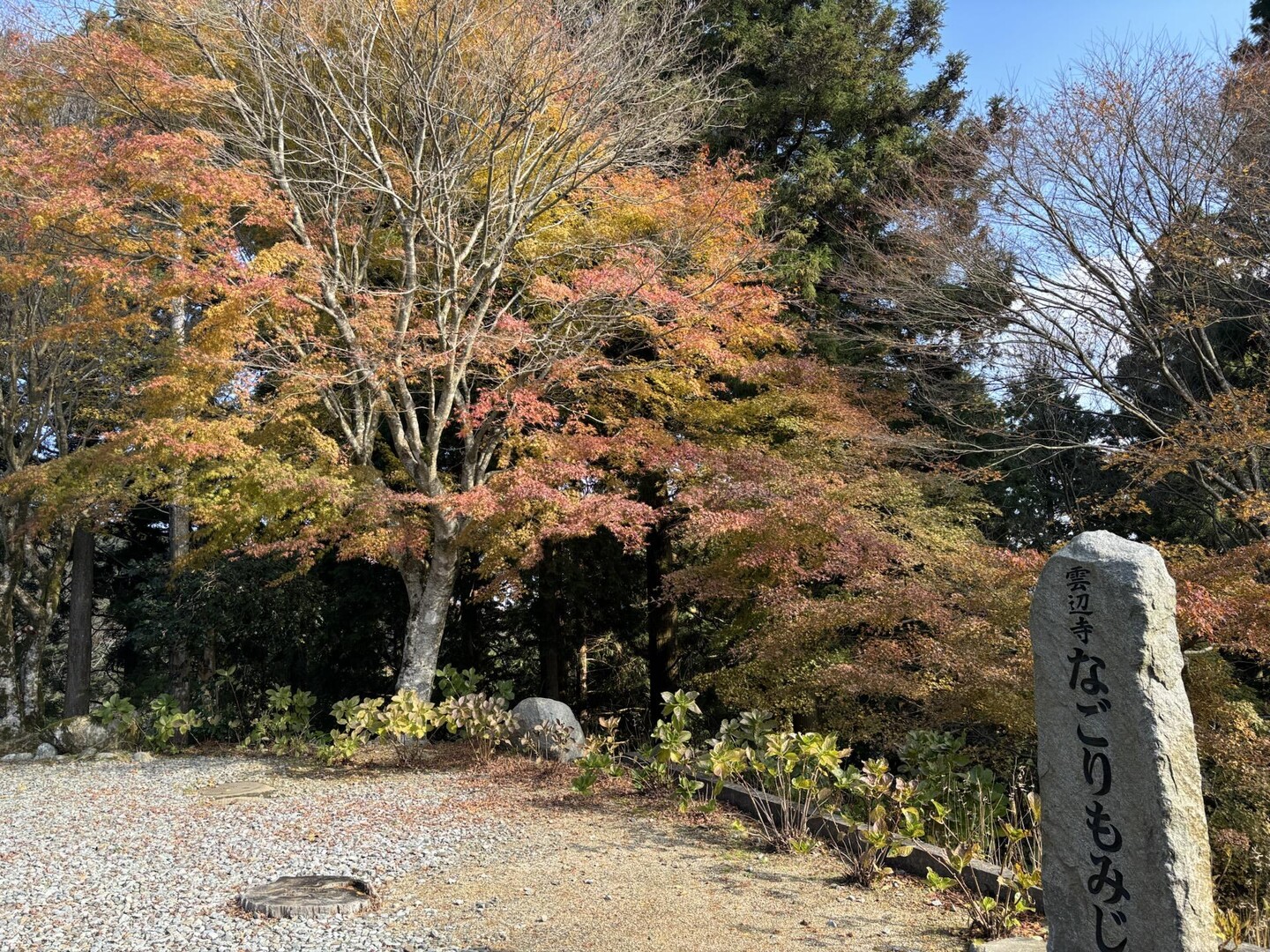 雲辺寺山 / mt. sugさんの雲辺寺山の活動日記 | YAMAP / ヤマップ