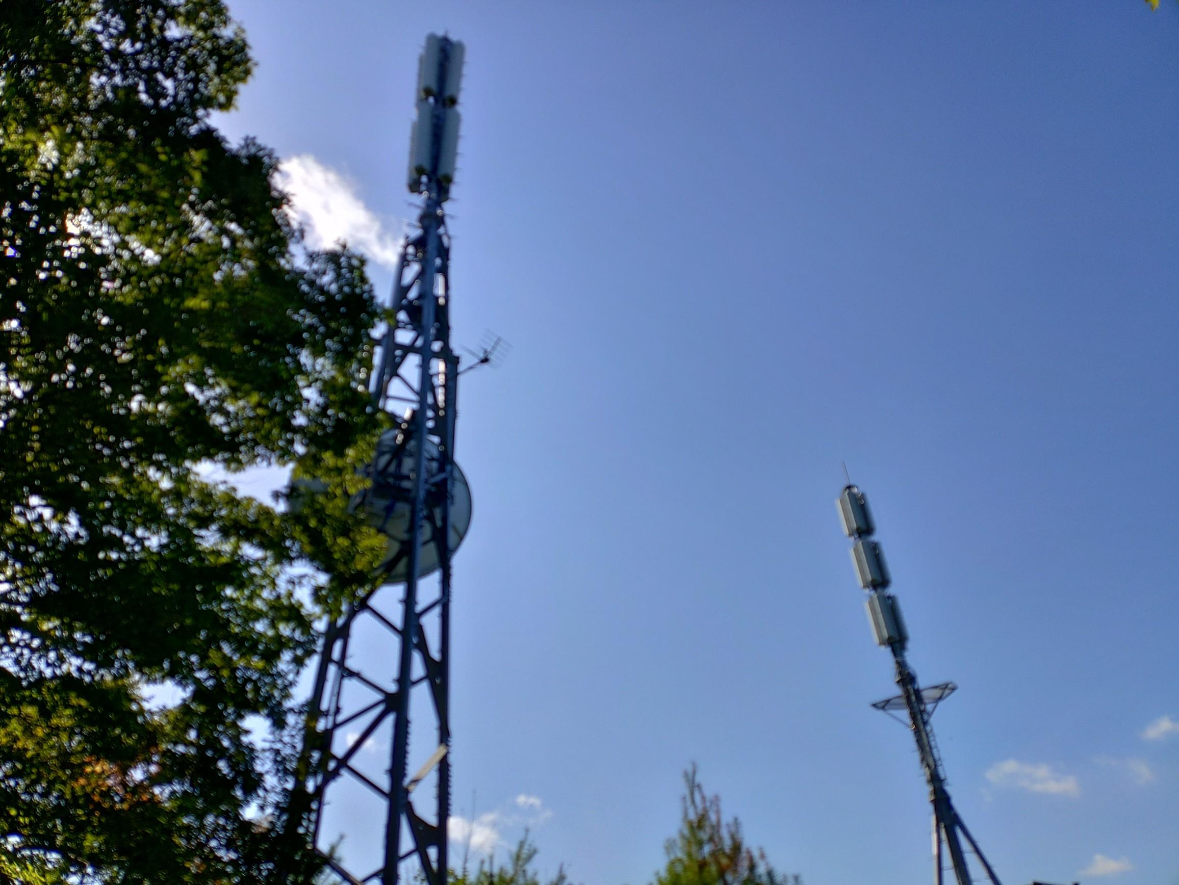 南宮山（伊賀小富士）・岡山 / サボテンライダーt2さんの南宮山（伊賀小富士）の活動データ | YAMAP / ヤマップ