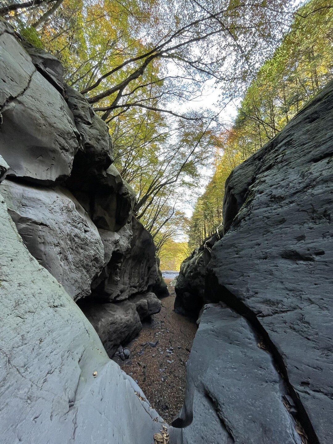 【富士山 剣ヶ峰大沢】枯れ沢登り / Naoki®さんの沢登りの活動日記 | YAMAP / ヤマップ