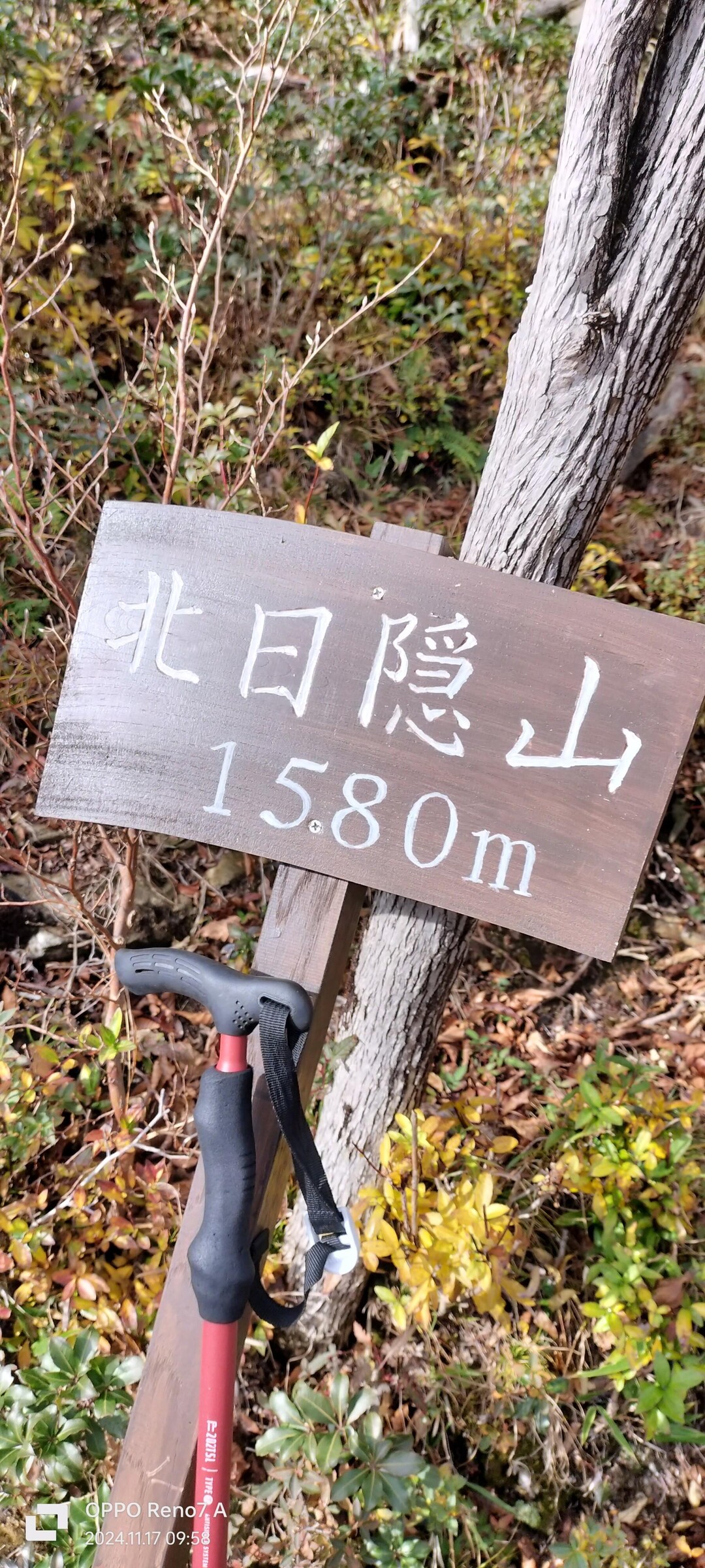 この標識は私が建てたど〜😆‼️はじめての登山道整備に参加しました〜北日隠山・日隠山 / ぴおちぷさんの大崩山・五葉岳・新百姓山の活動データ | YAMAP / ヤマップ