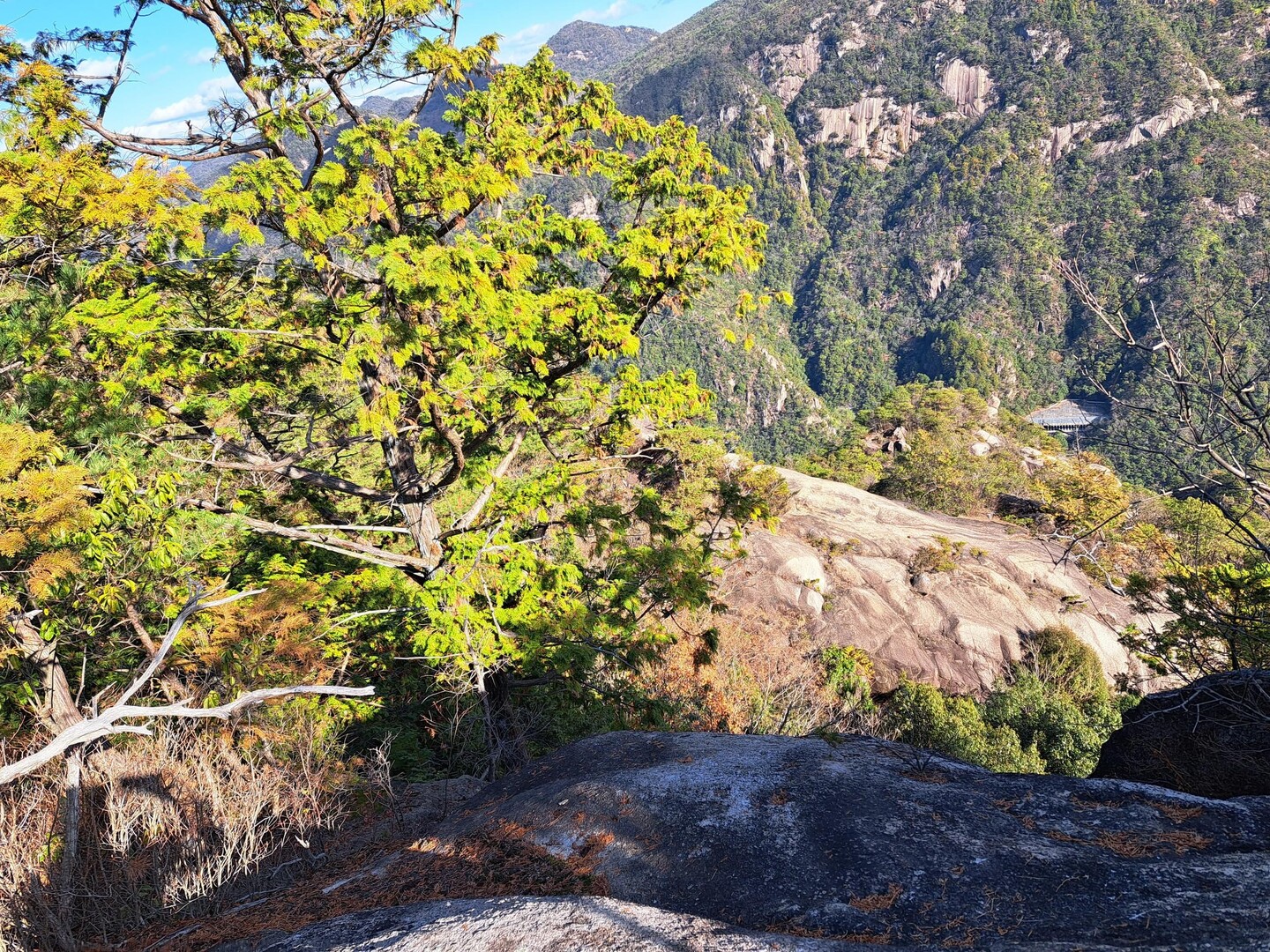 DSHさんの投稿したフィールドメモ | YAMAP / ヤマップ