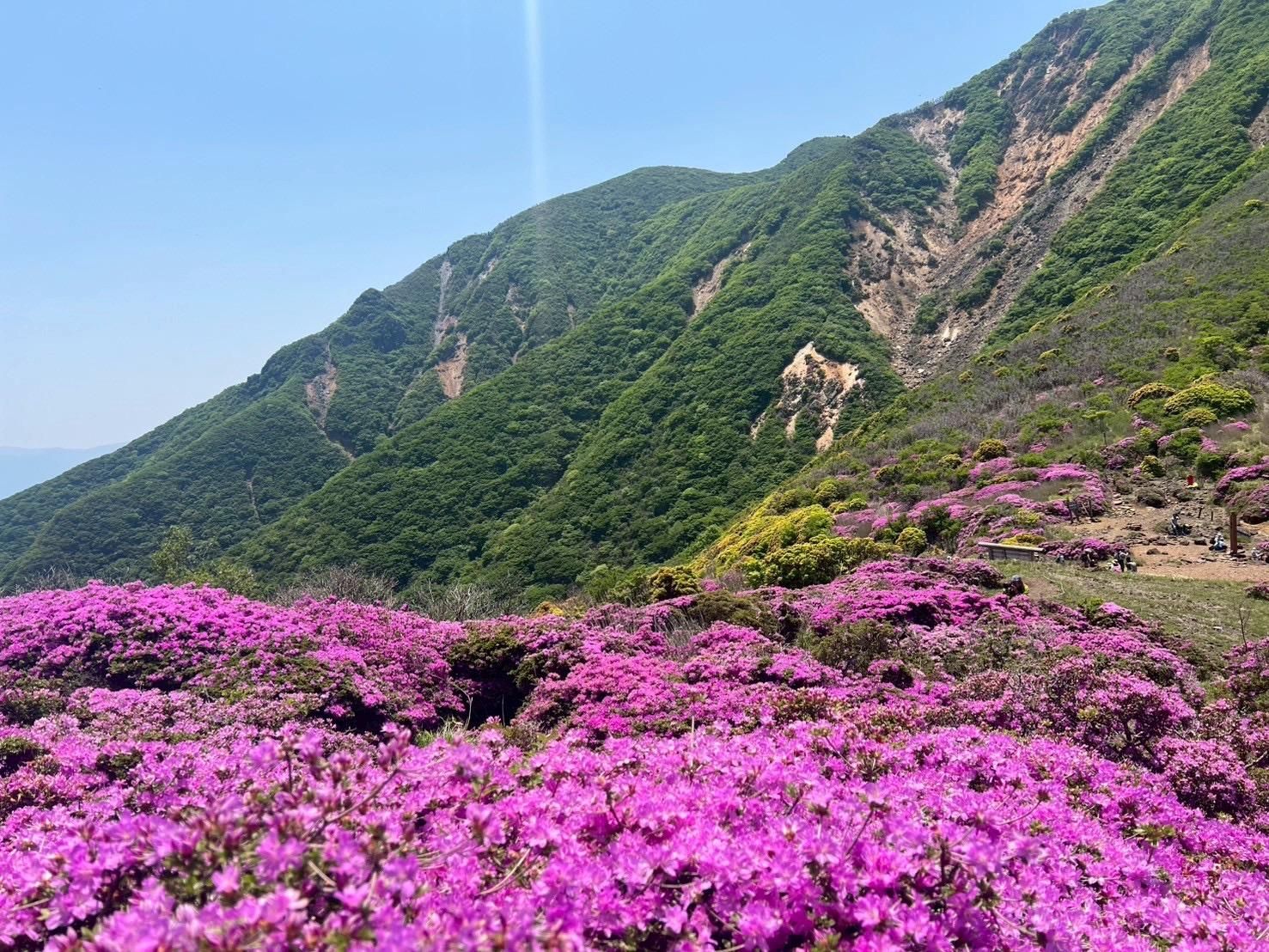MK満開の立中山 / chihiroさんの九重山（久住山）・大船山・星生山の活動データ | YAMAP / ヤマップ