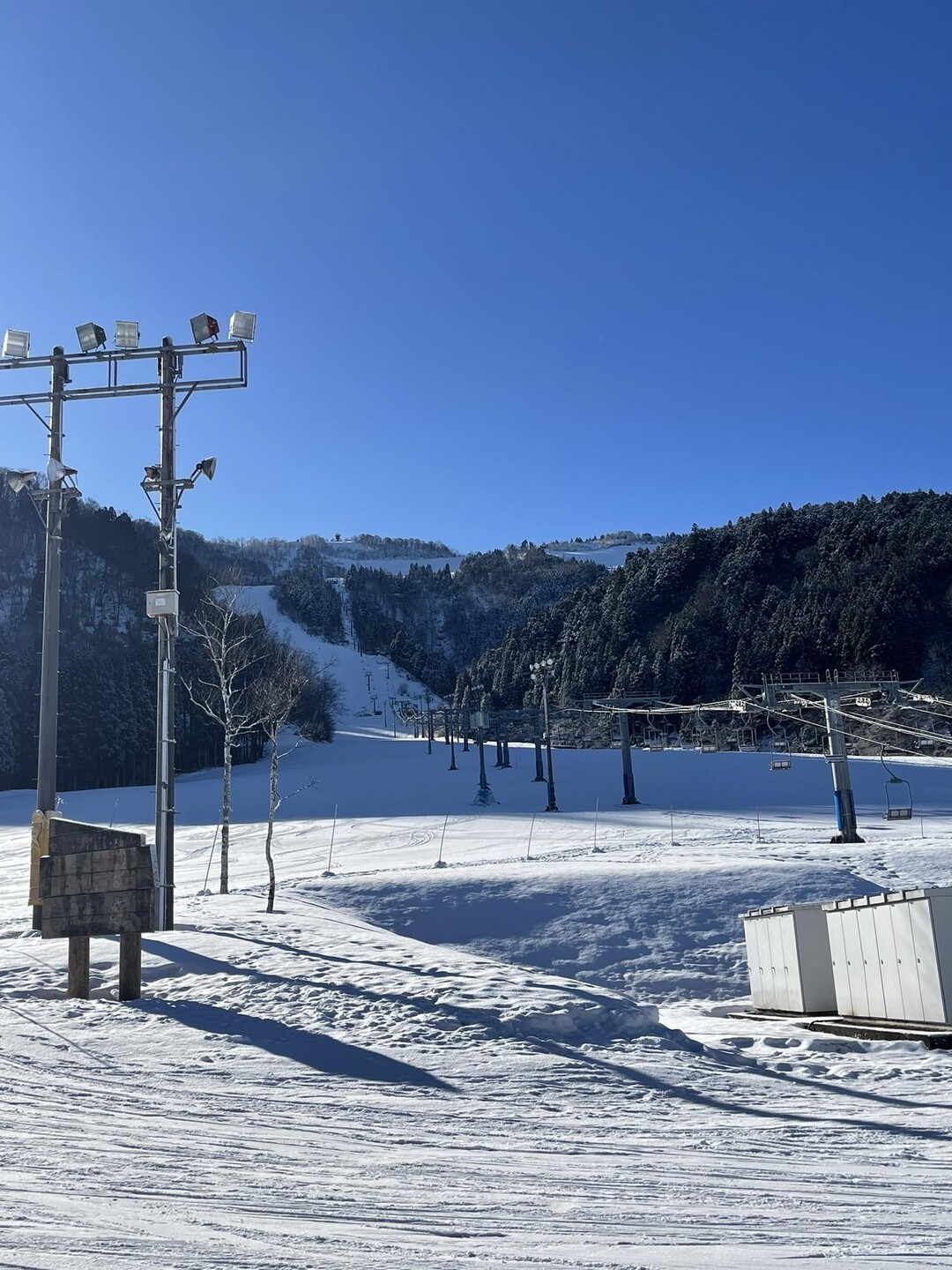 色々なタイミングがよくて、動画で観たター... / M&Tさんのモーメント | YAMAP / ヤマップ