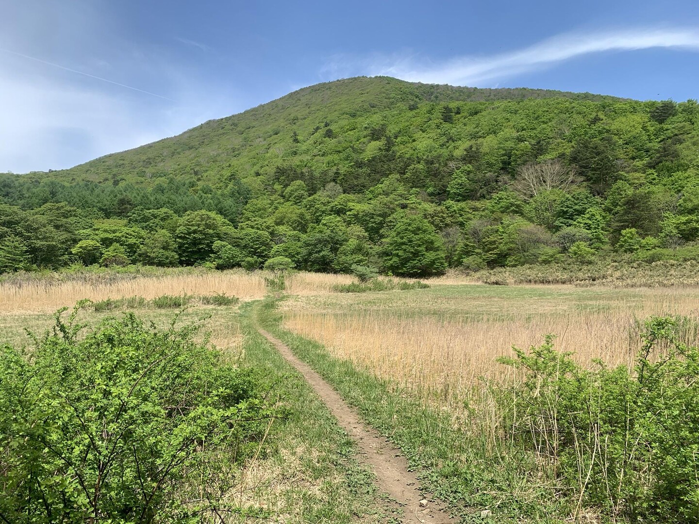 R6.5.12 泉ヶ岳 / あおかつさんの船形山（御所山）・泉ヶ岳・蛇ヶ岳の活動データ | YAMAP / ヤマップ