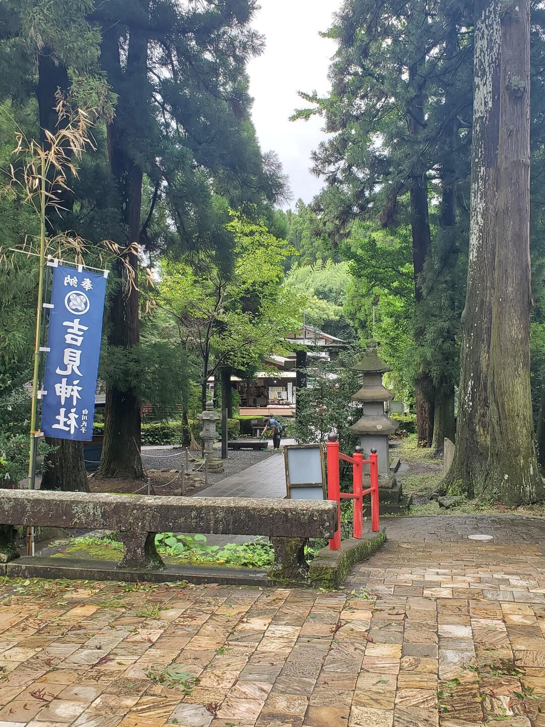 白川水源です。ちゃんと来たのは……20年... / Keiさんのモーメント | YAMAP / ヤマップ