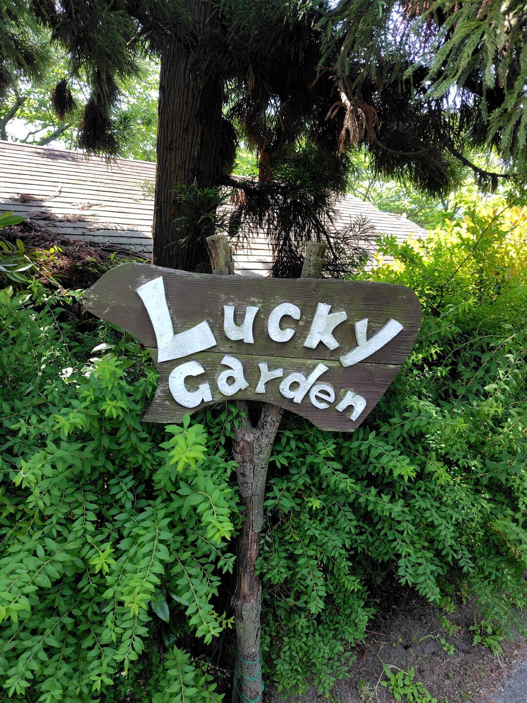 lucky garden⁉️ in 生駒山 / keiAM60さんの生駒山・神津嶽・大原山の活動データ | YAMAP / ヤマップ