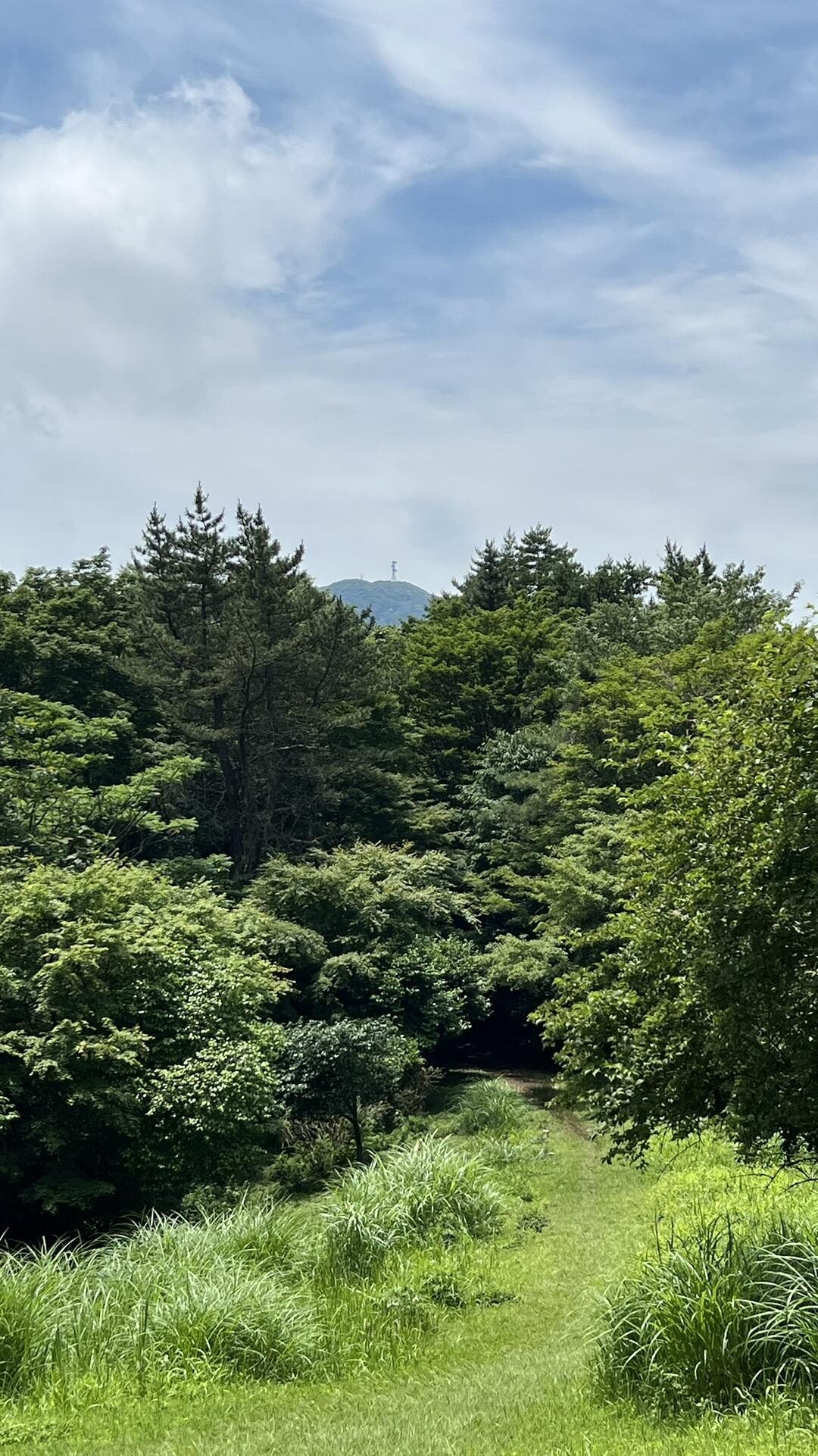 元箱根から湯坂道を経て箱根湯本へ / Masako_Mさんの幕山・南郷山の活動データ | YAMAP / ヤマップ