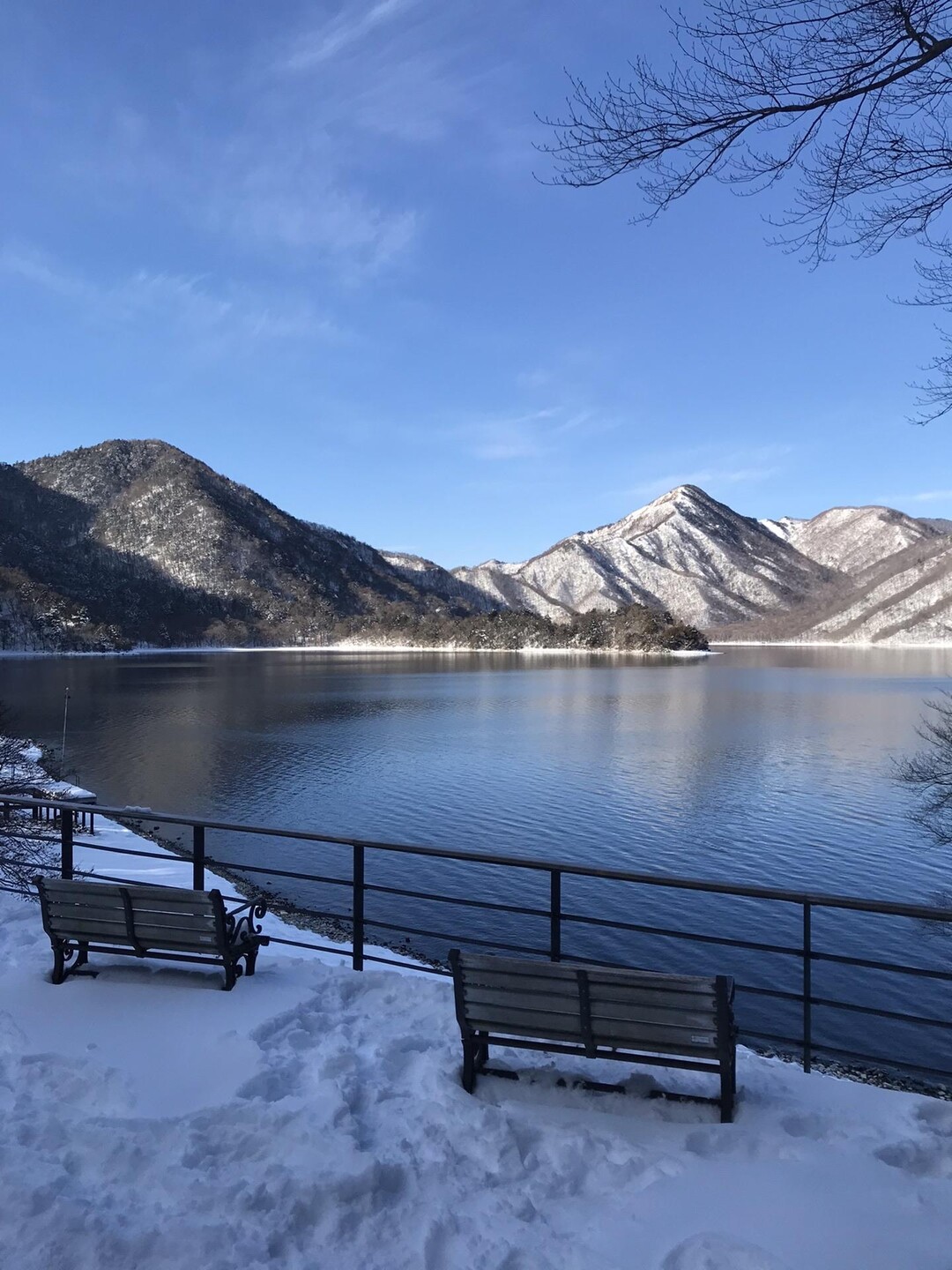 社山 / aoi-stepさんの男体山の活動データ | YAMAP / ヤマップ