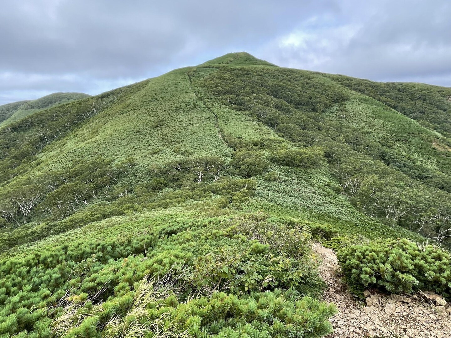 礼文岳 / kazuomoさんの礼文島の活動データ | YAMAP / ヤマップ