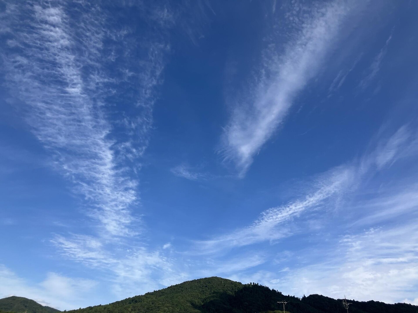 三輪山 / Y'sさんの三輪山・巻向山・龍王山の活動日記 | YAMAP / ヤマップ