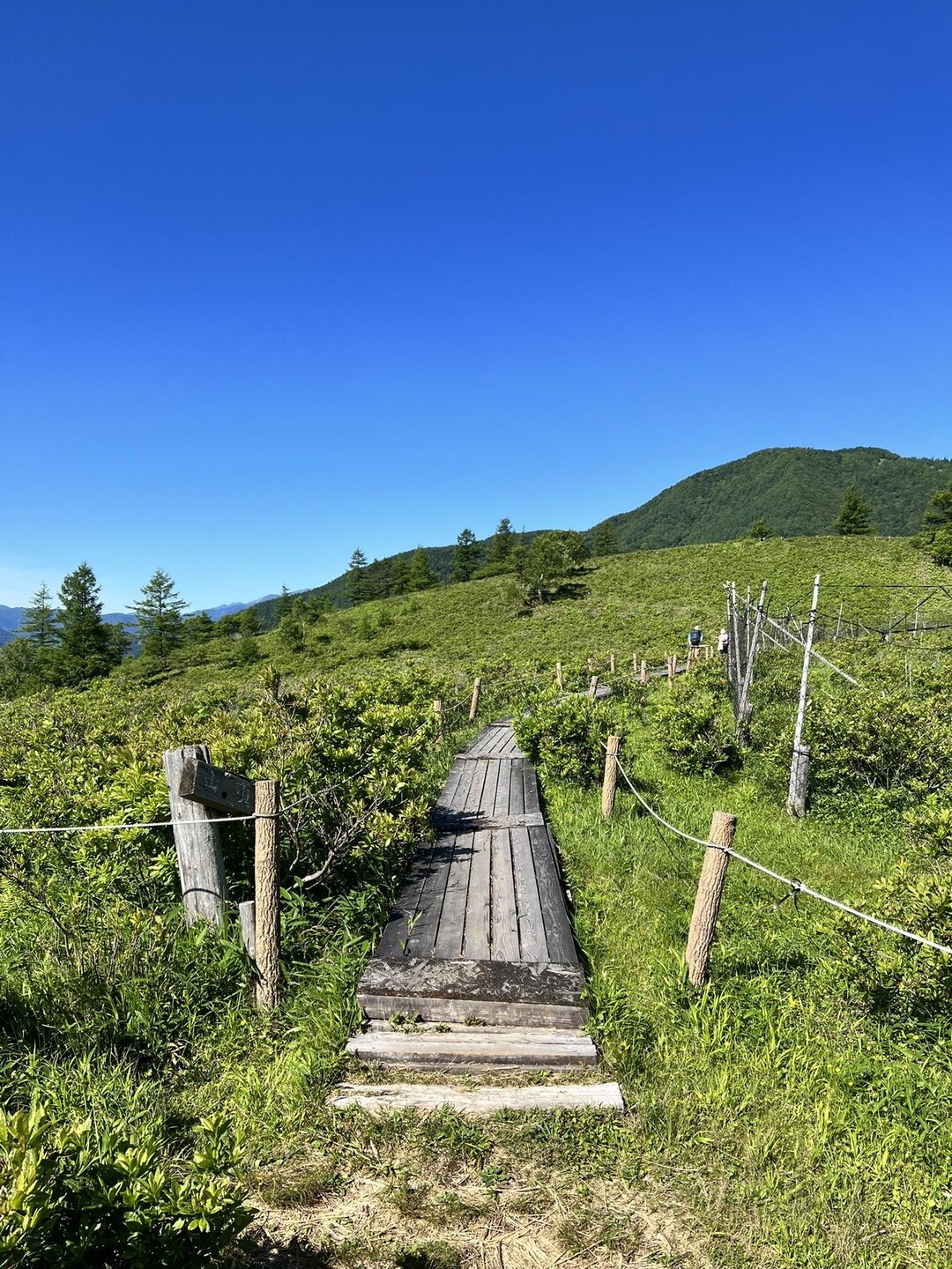 いざ！甘利山から千頭星山のちょっと先 / Josiaさんの鳳凰山・地蔵岳・観音岳・薬師岳の活動データ | YAMAP / ヤマップ