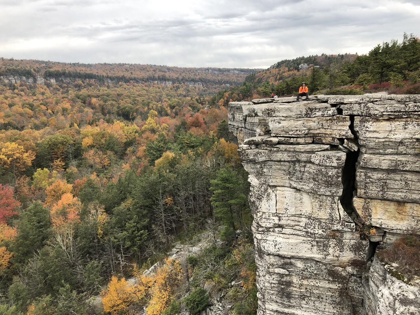 Gertrude’s Nose / Mt Adventureさんのミネワスカ・ステート保護区の活動日記 | YAMAP / ヤマップ