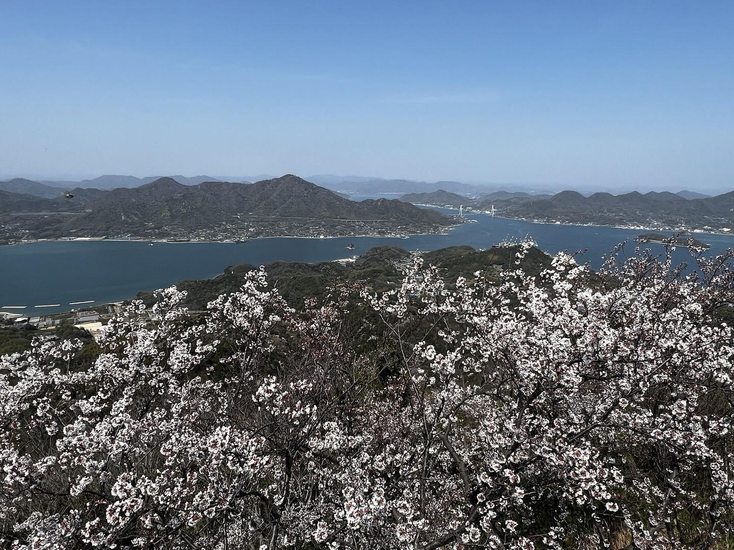 積善山 / idasさんの牡蠣山の活動日記 | YAMAP / ヤマップ