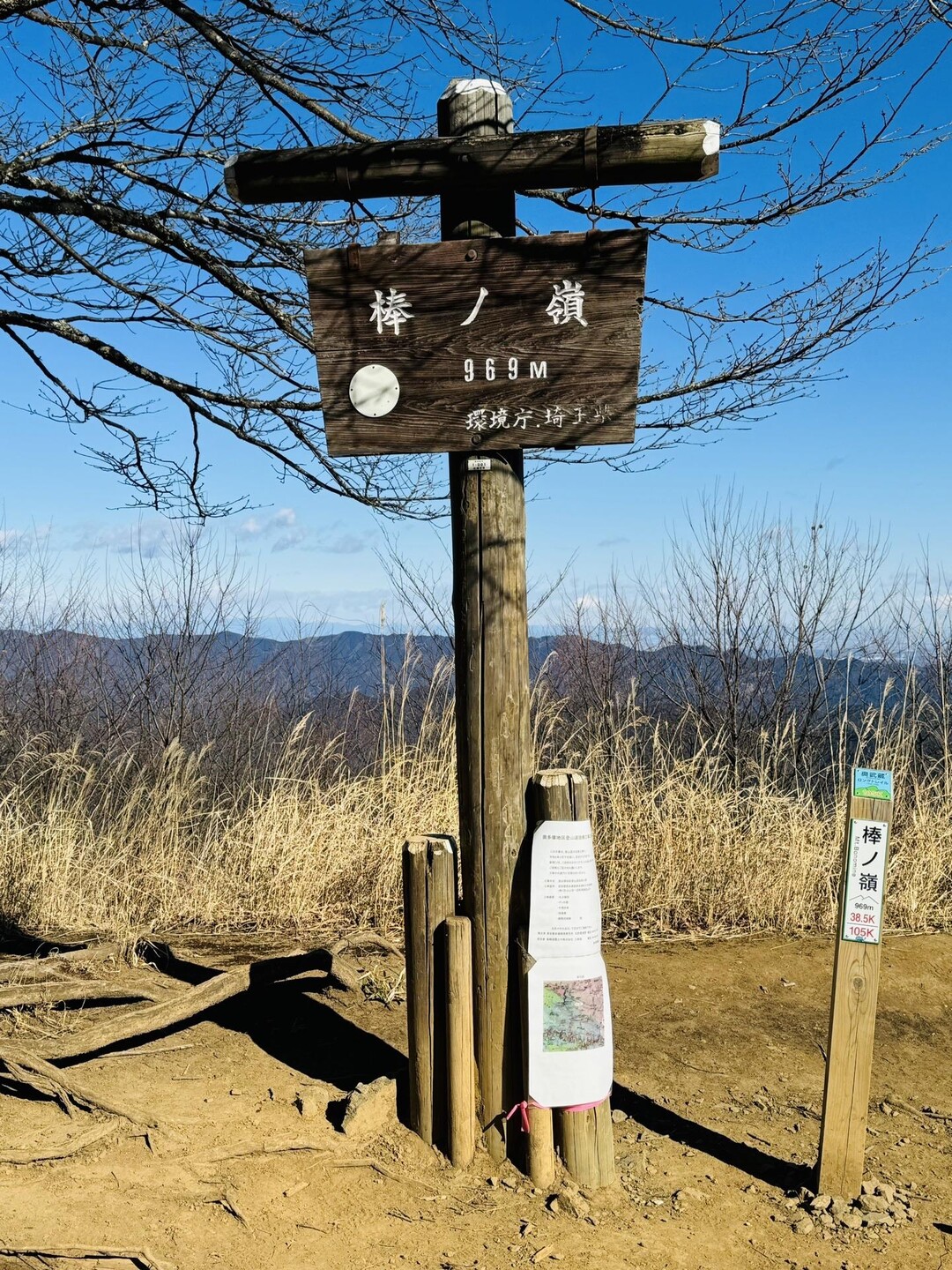 棒ノ嶺（棒ノ折山） / Hisaさんの棒ノ折山（棒ノ嶺）の活動データ | YAMAP / ヤマップ