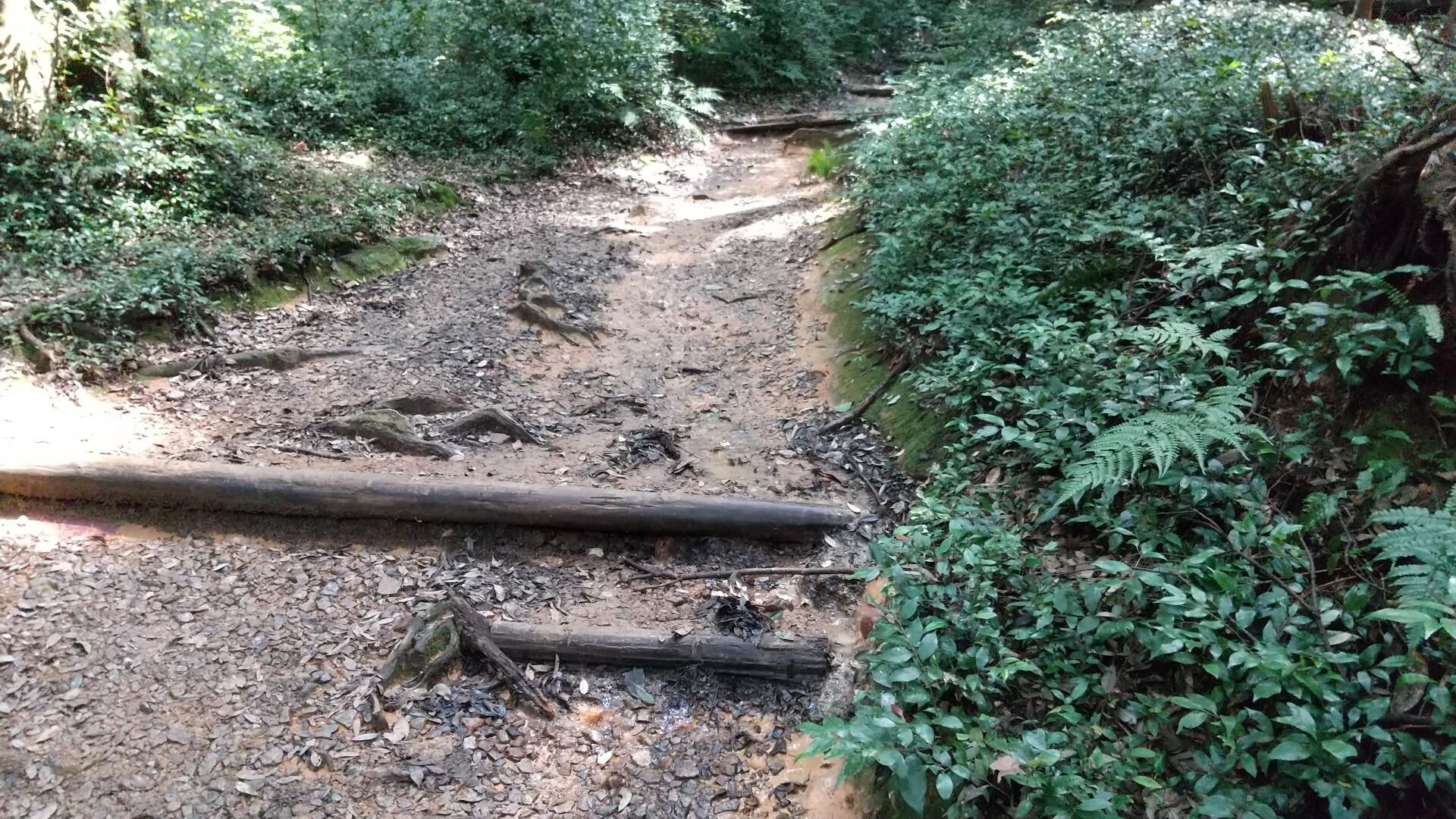 もう無理！！ペースが速かったせい？金華山 / nobu2🦩さんの金華山・洞山・舟伏山の活動データ | YAMAP / ヤマップ