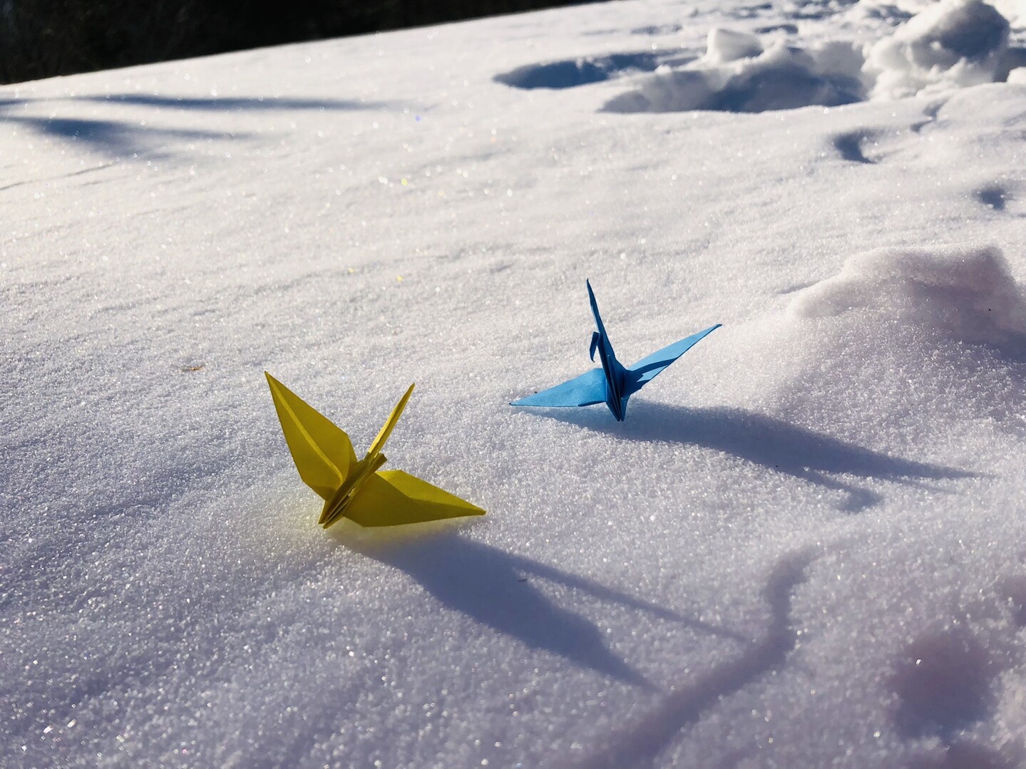 #nowar 八ヶ岳から / zozomiさんのモーメント | YAMAP / ヤマップ