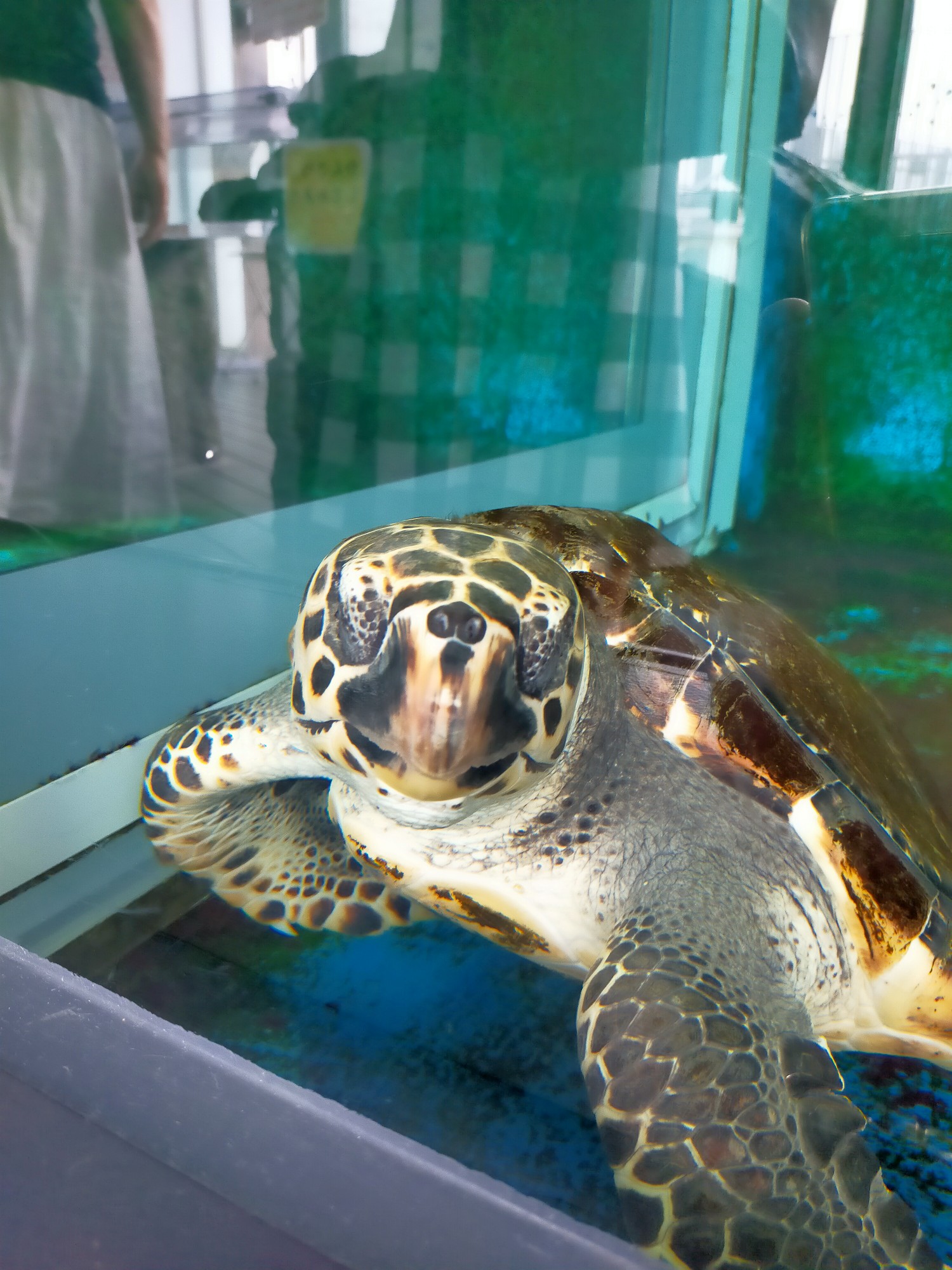 今日はフルコースやん👍😆 最＆高な... / jtyhじじさんのモーメント | YAMAP / ヤマップ