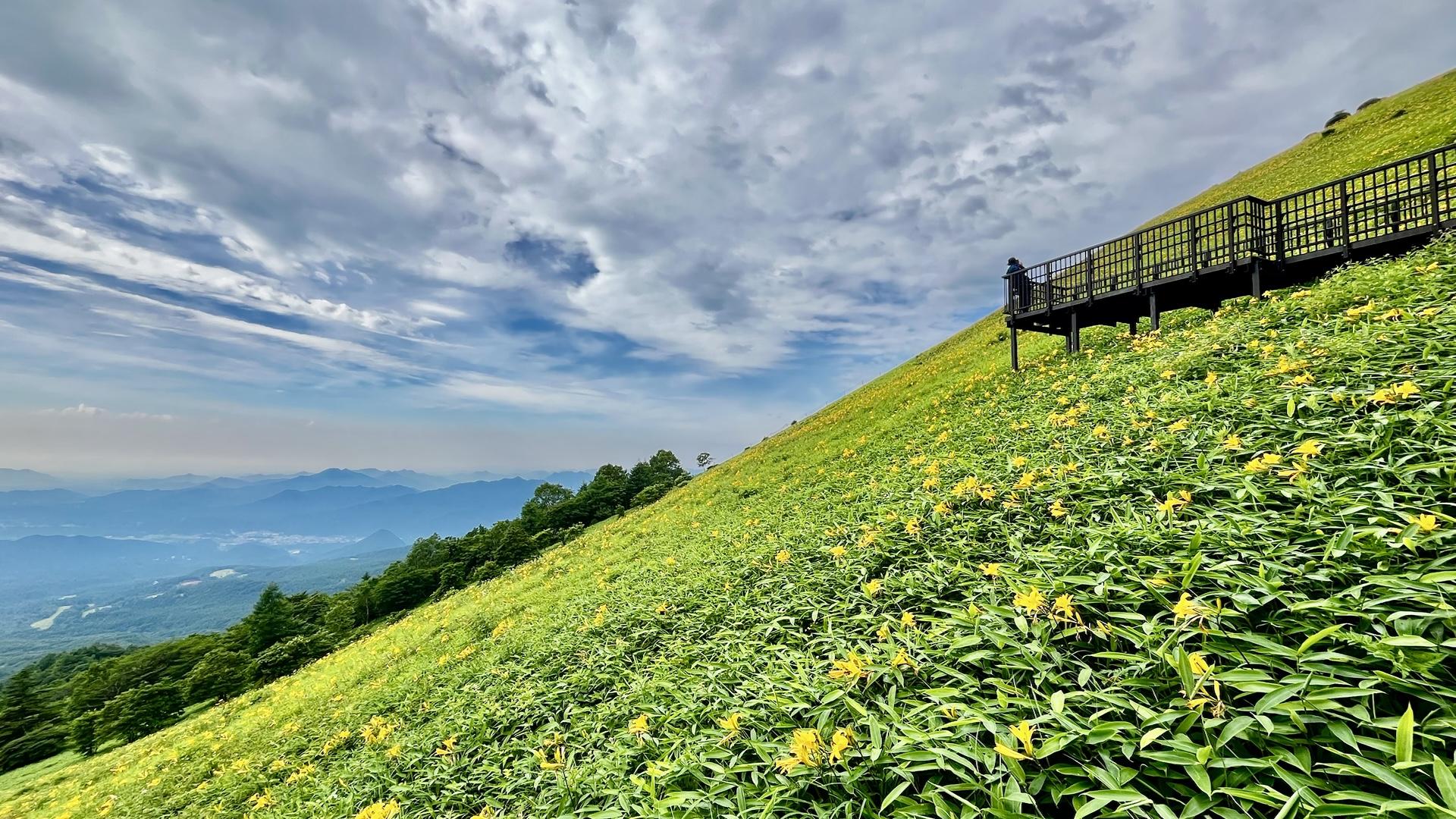 今年は行けたニッコウキスゲ🌼 小丸山・赤薙山・丸山 / akioさんの女峰山・赤薙山・大真名子山の活動データ | YAMAP / ヤマップ