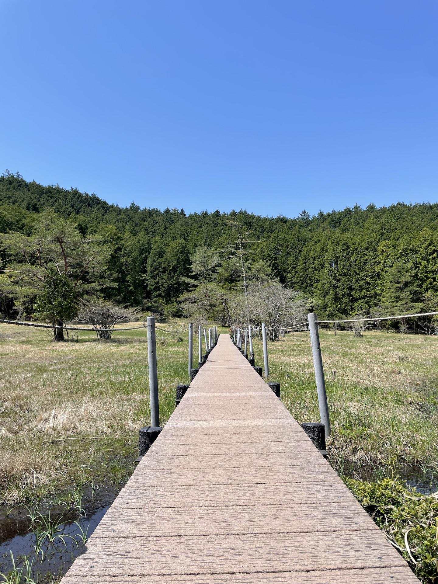 黒の田湿地 / 智★さんの屏風山の活動データ | YAMAP / ヤマップ