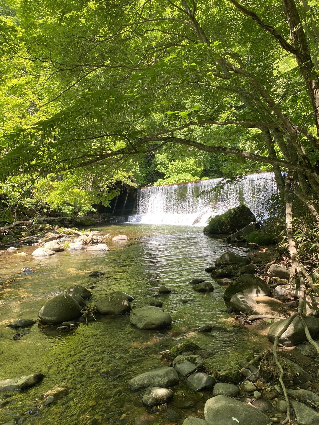 今日は登山ではなく某渓流へ釣りに🎣 釣... / konikoniさんのモーメント | YAMAP / ヤマップ