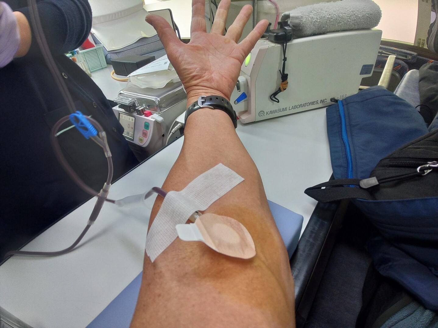 金華山 / nyaさんの岐阜市の活動データ | YAMAP / ヤマップ