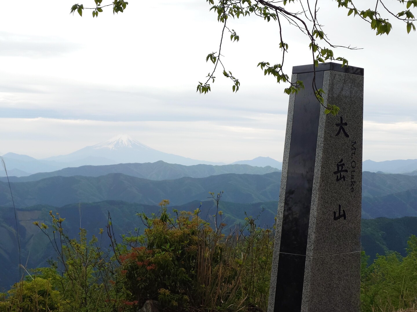 《奥多摩》大岳山・鋸山（鋸尾根） / nazさんの大岳山・御岳山・御前山の活動データ | YAMAP / ヤマップ